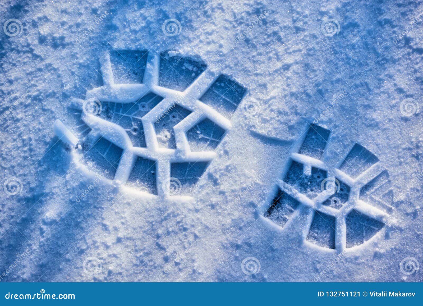 Fresh Boot Print in the Snow with the Shadows of the Plants Stock Image ...