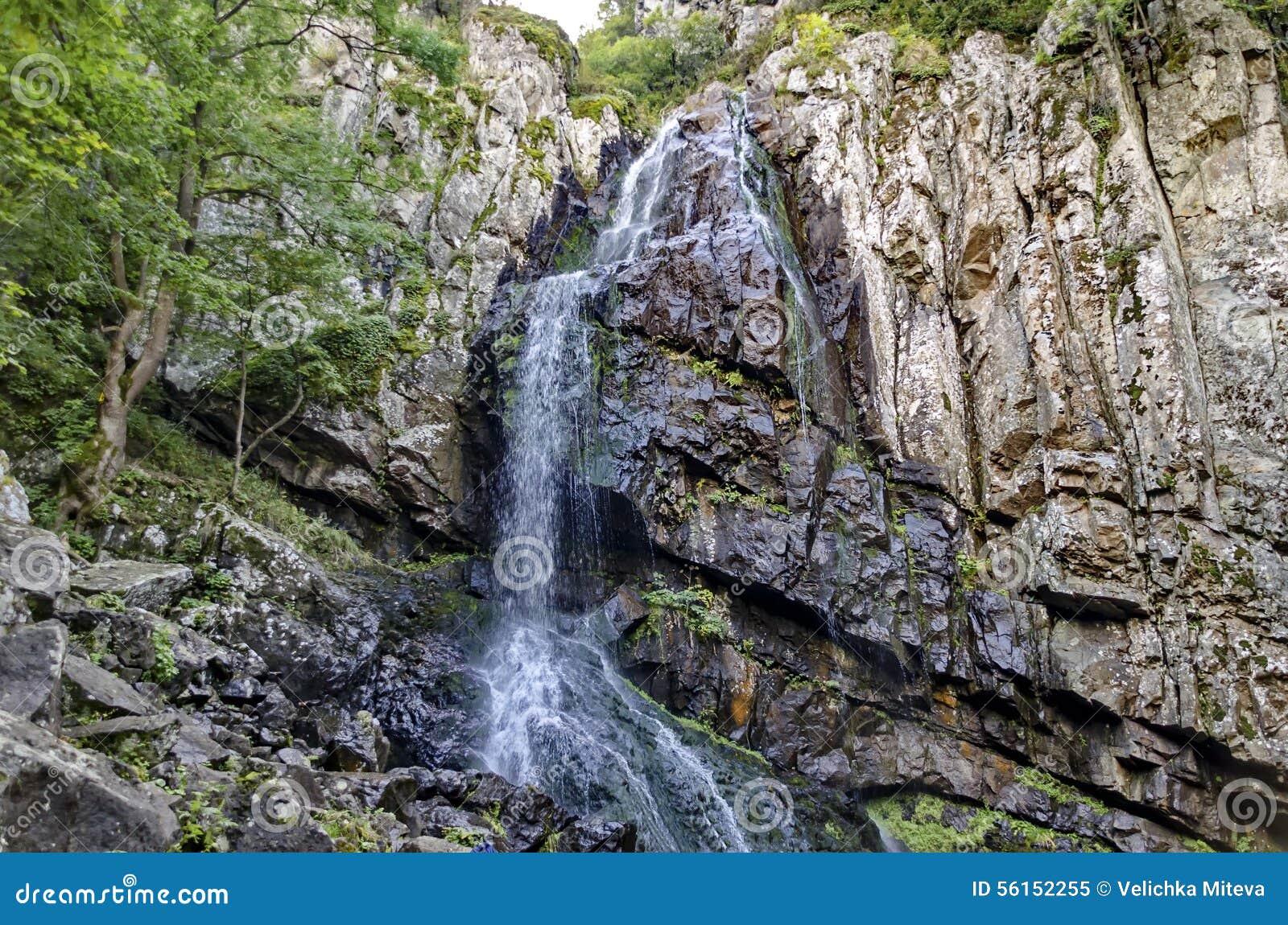 Fresh Boyana Waterfalls in Deep Forest and Rock Stock Image - Image of ...