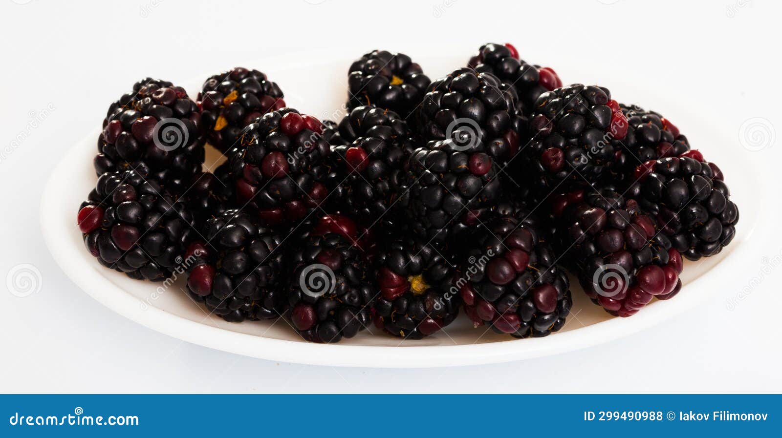 Fresh Bramble on White Background Stock Photo - Image of bunch, organic ...