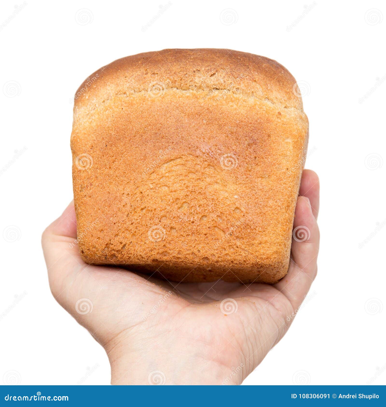 Fresh Bread in His Hand on a White Background Stock Image - Image of ...