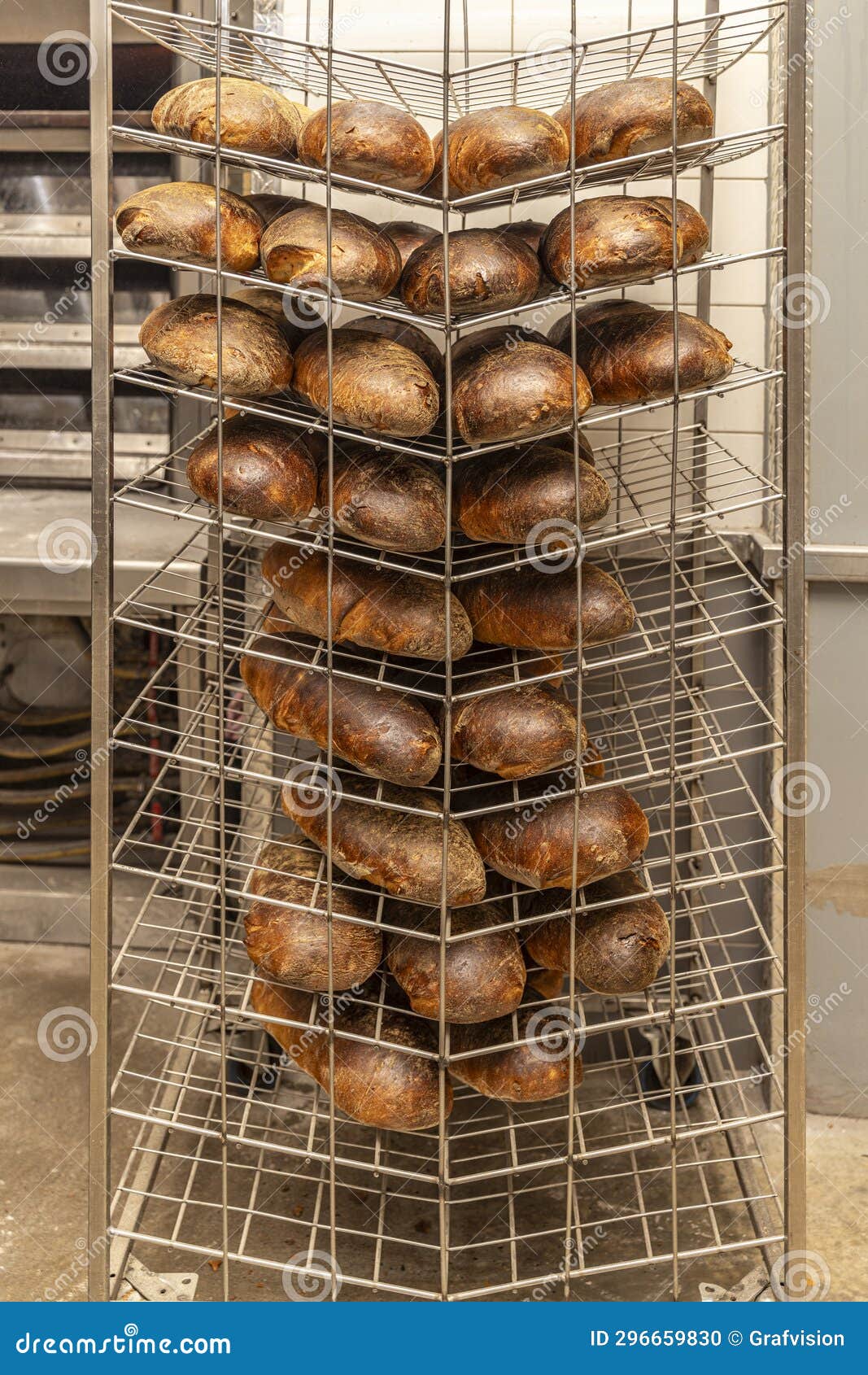 Fresh Bread Inside of a Bakery Stock Photo - Image of industry, loaf ...