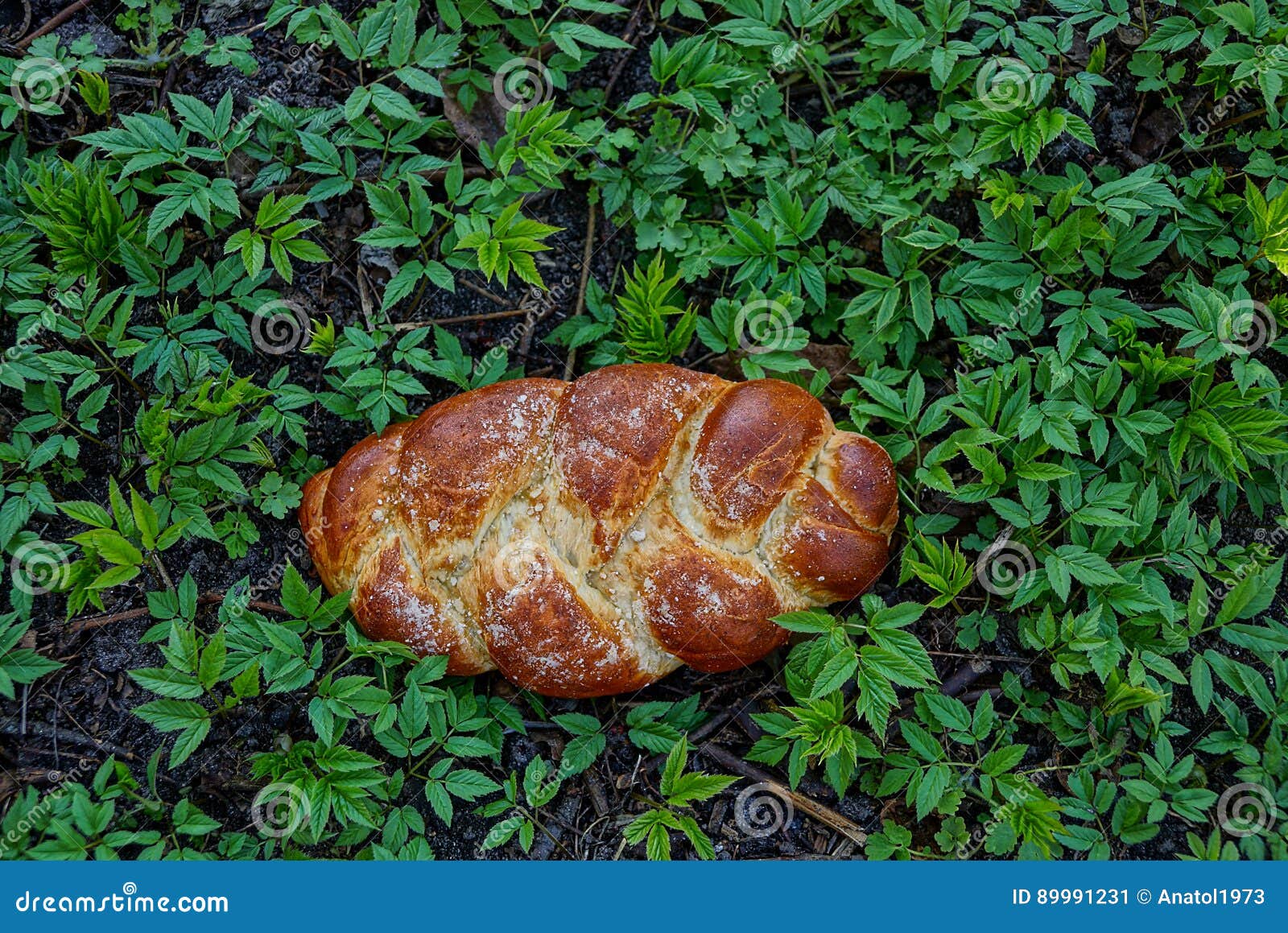 Fresh Bread Loaf in Green Grass Stock Image - Image of nature, food ...