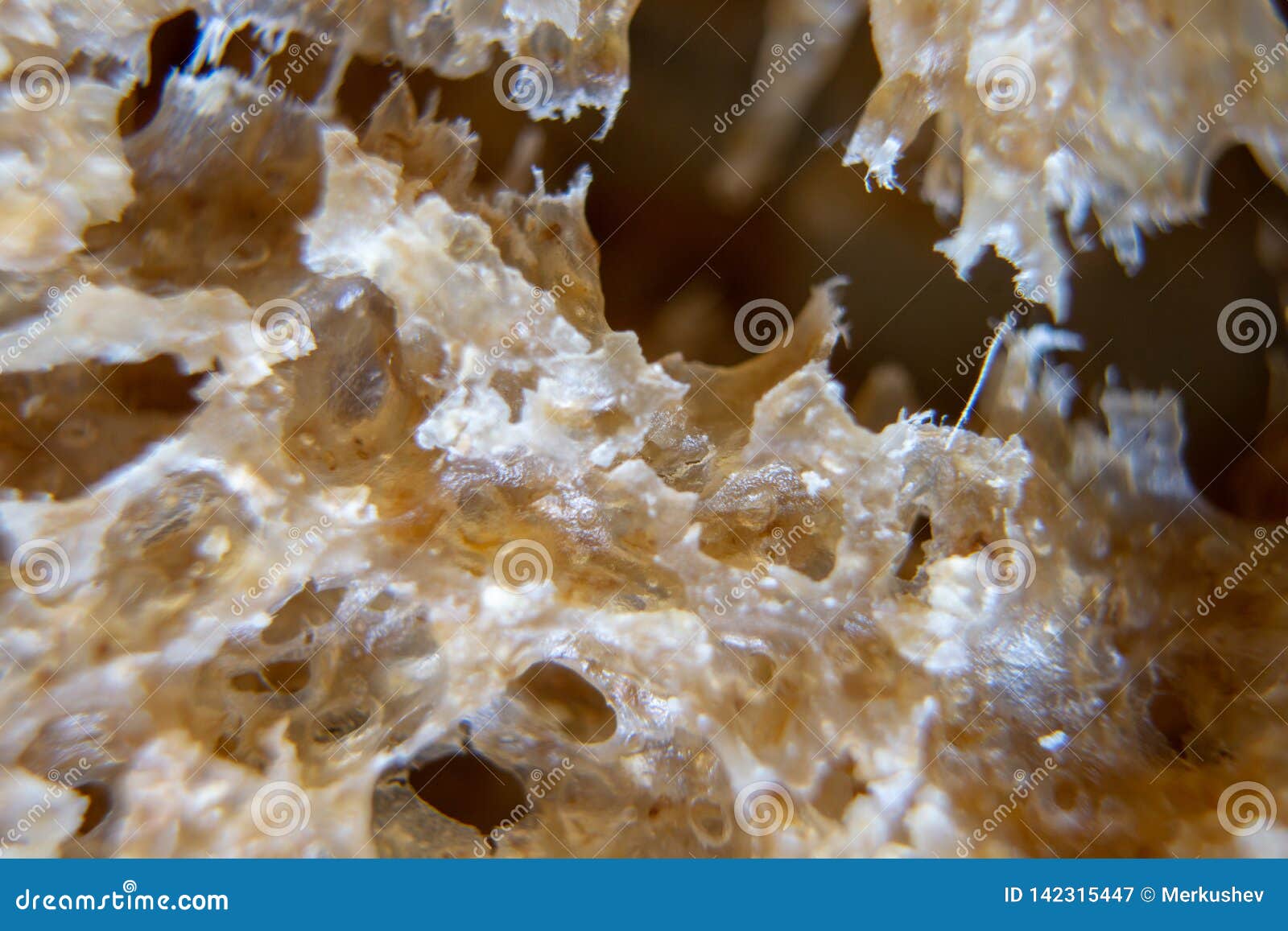 Fresh Bread Slice Macro Shot. Bread Extreme Close-up. Stock Image ...