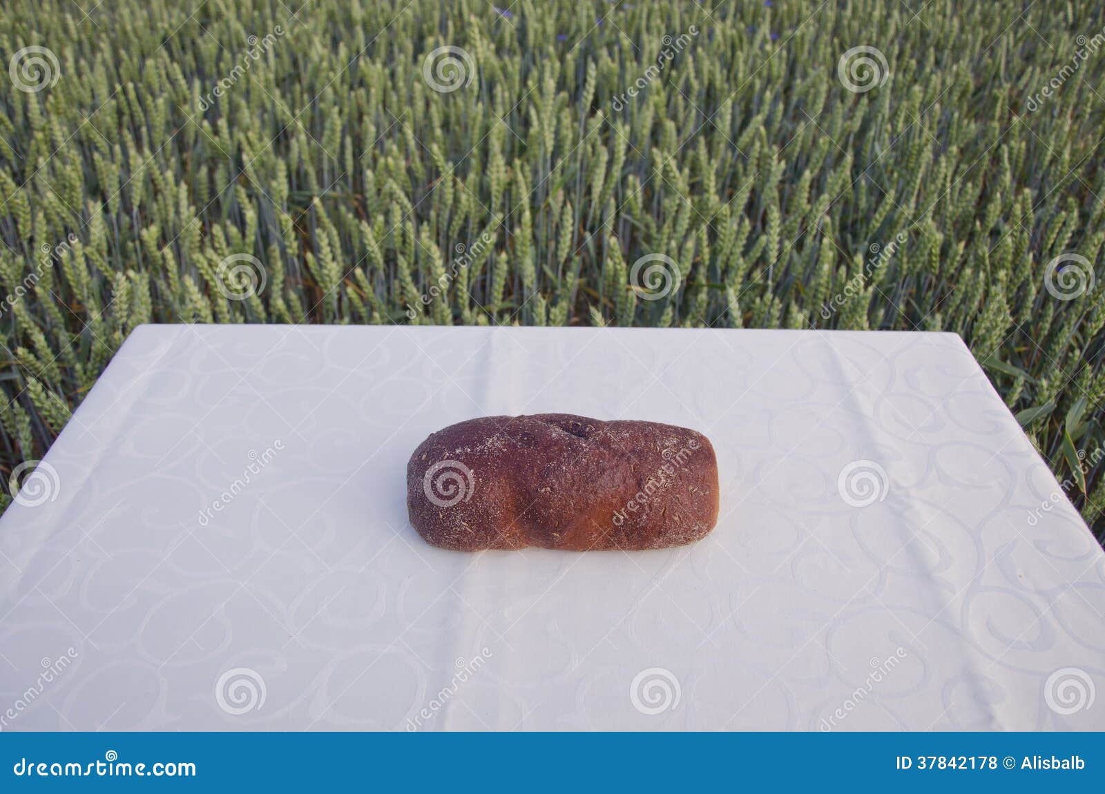 Fresh Bread on Tablecloth on Table Over Summer Wheat Field Stock Photo ...