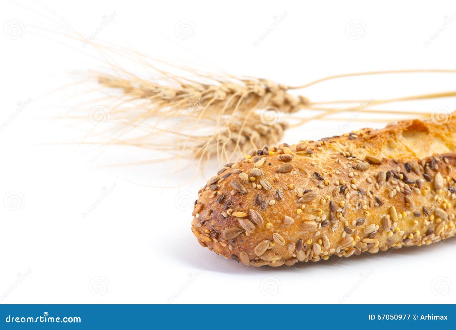 Fresh bread stock image. Image of backgrounds, healthy - 67050977