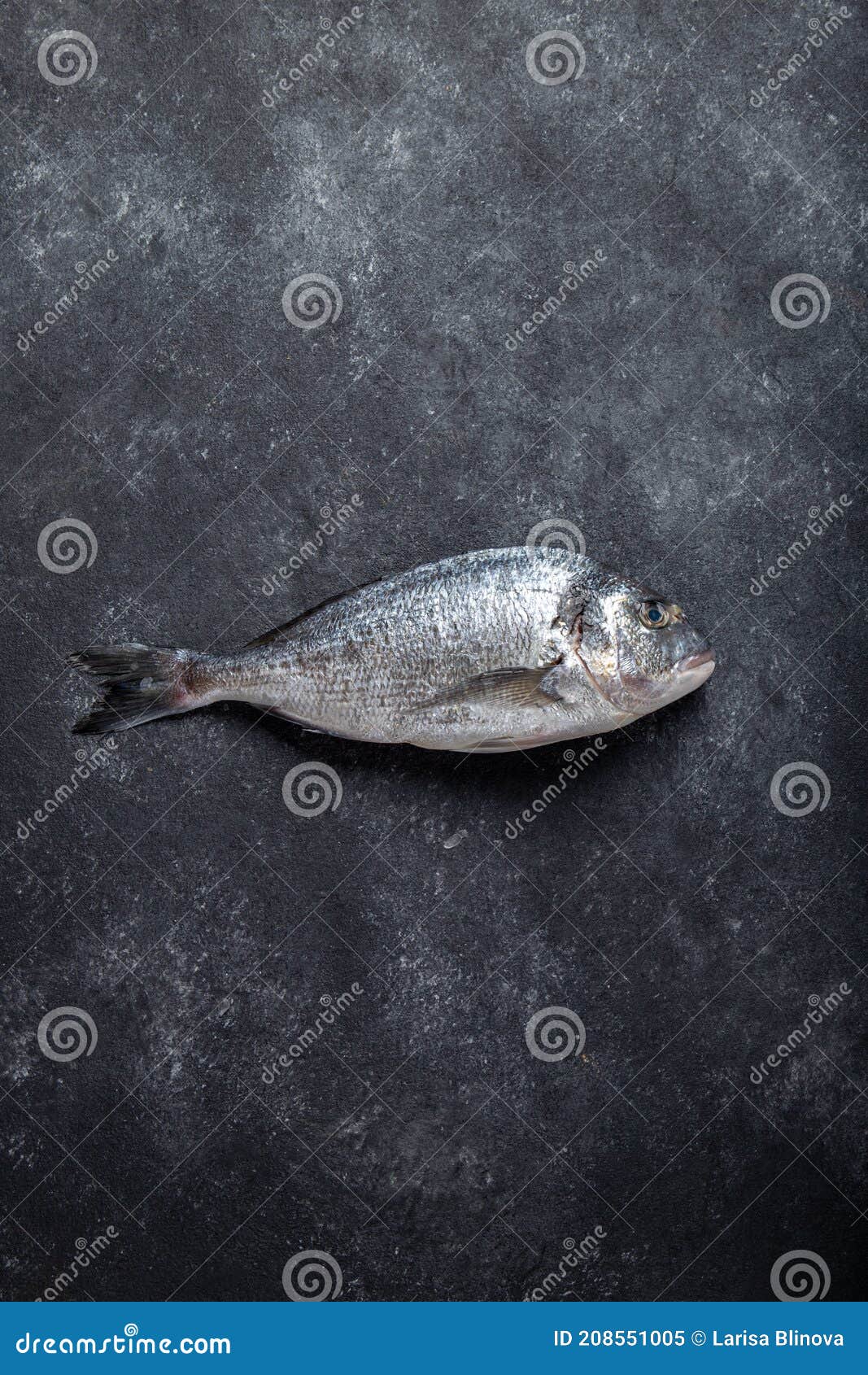Fresh Bream Fish on Dark Background. Copy Space, Top View Stock Image ...