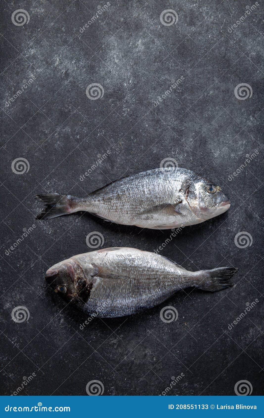 Fresh Bream Fish on Dark Background. Copy Space, Top View Stock Image ...