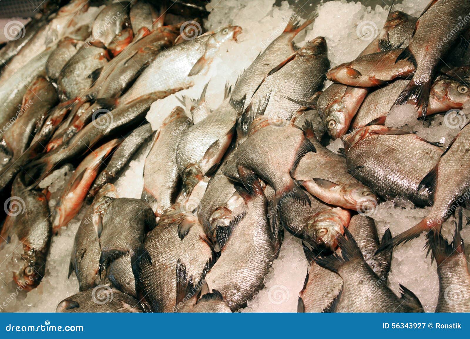 Fresh bream fish in market stock image. Image of food - 56343927