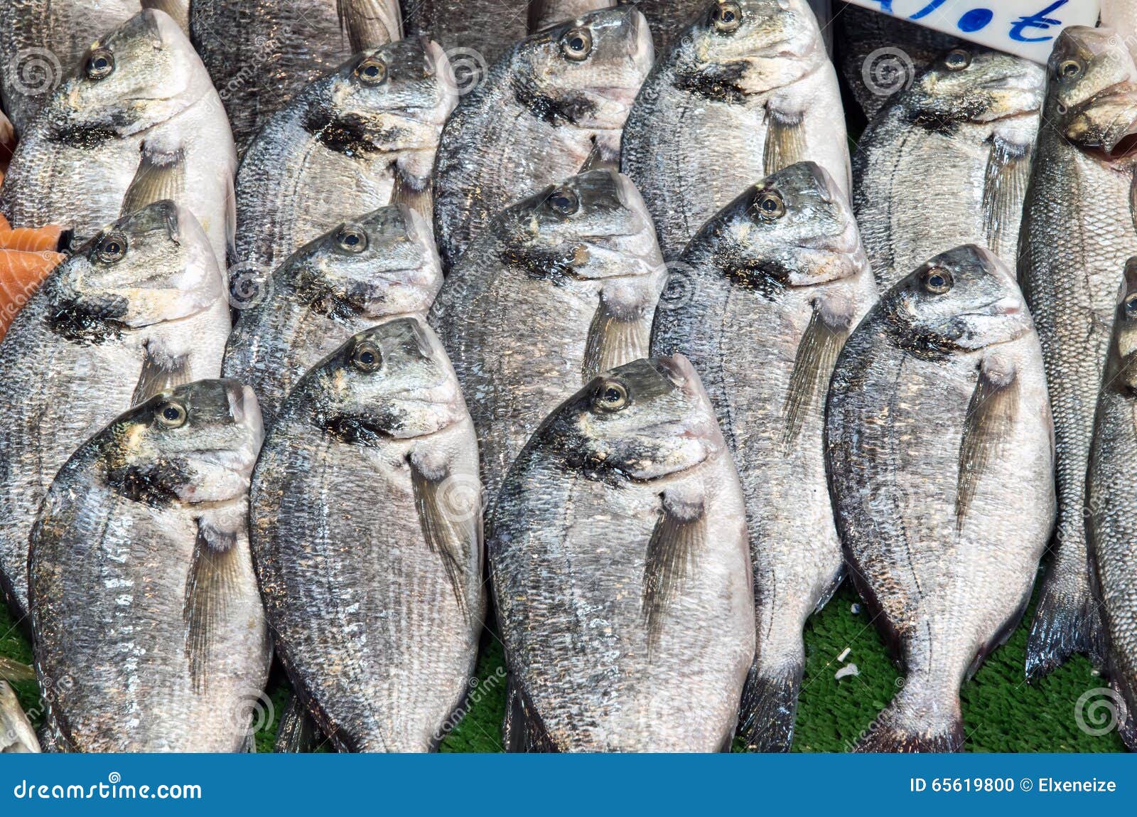 Fresh Bream Fish On The Table Of Hand Painted Tiles Stock Photography ...