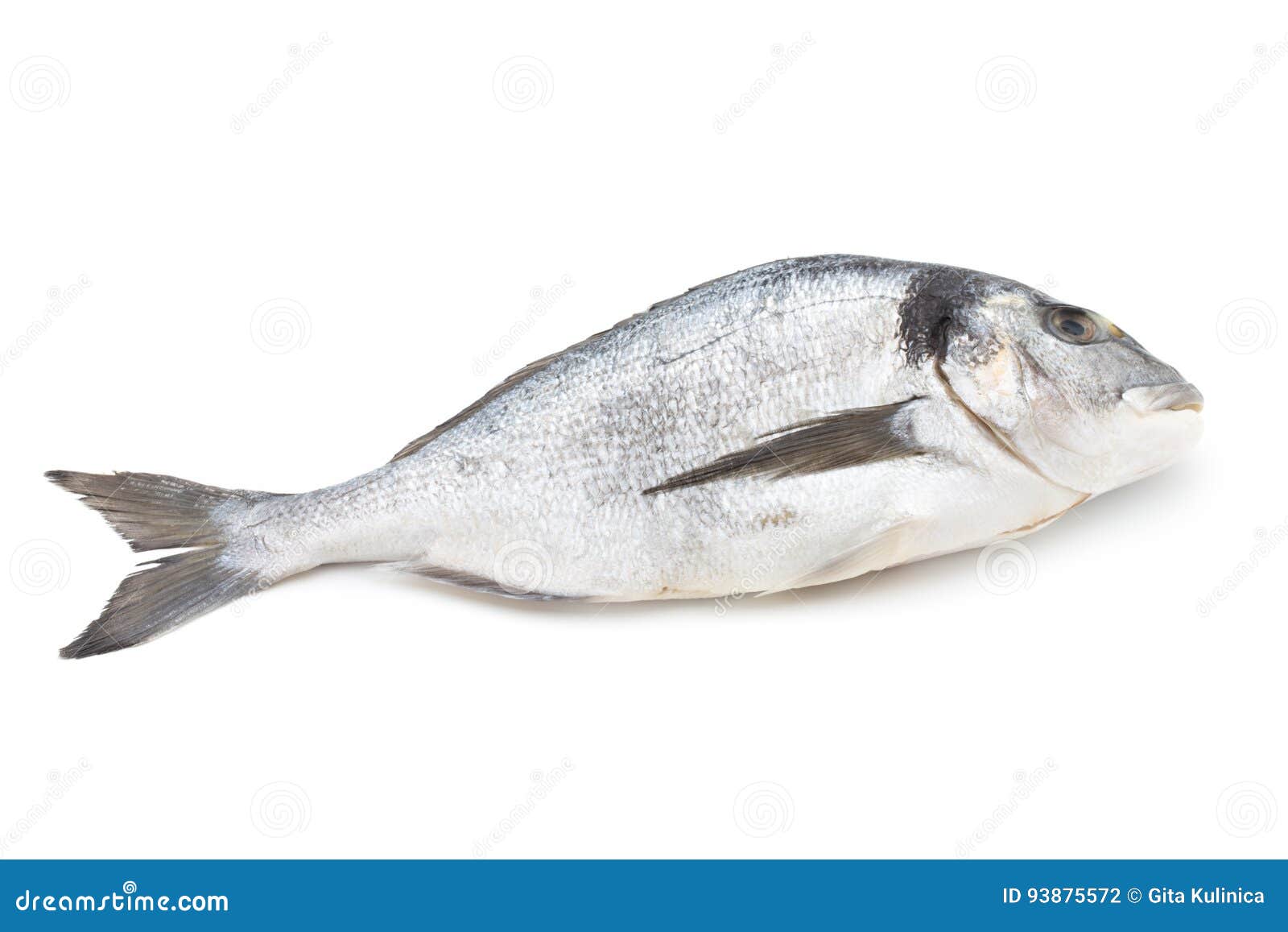 Fresh Bream Sea on White Background. Stock Photo - Image of heap, tasty ...