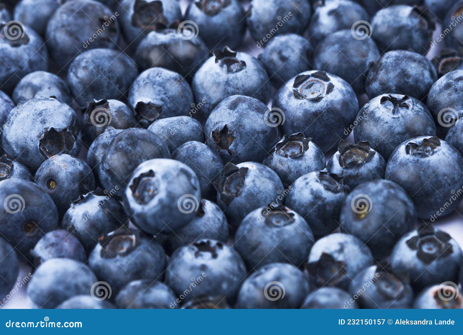 Fresh Bright Juicy Blueberries Stock Image - Image of background ...