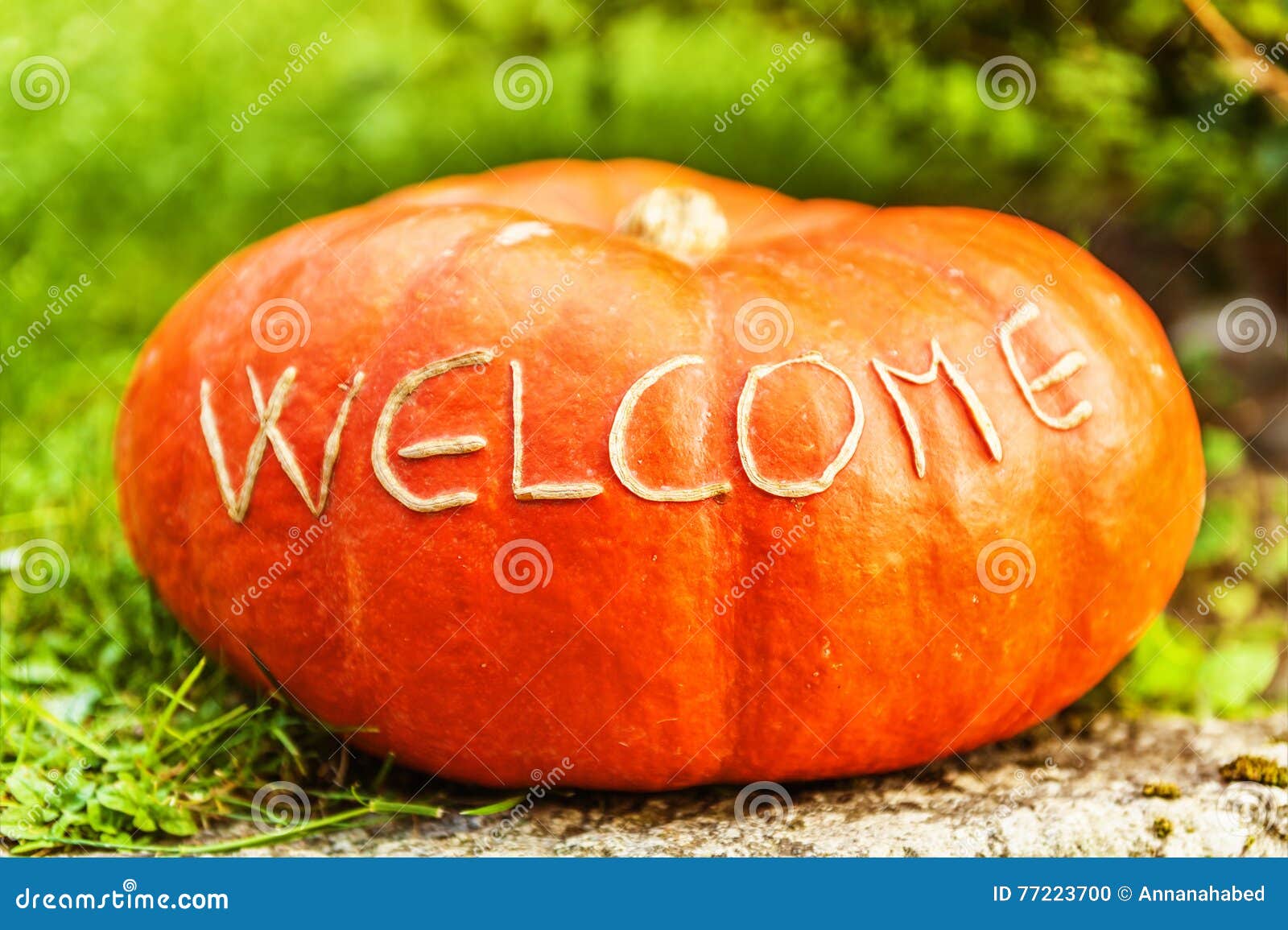 Fresh Bright Pumpkin with Sign Welcome Stock Photo - Image of holiday ...