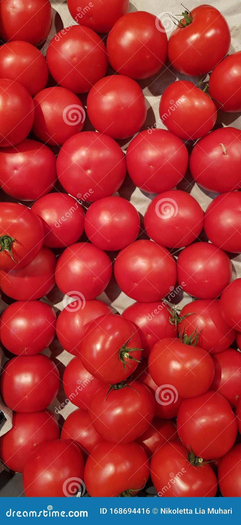 Fresh Bright Red Tomato in the Supermarket Stock Photo - Image of ...