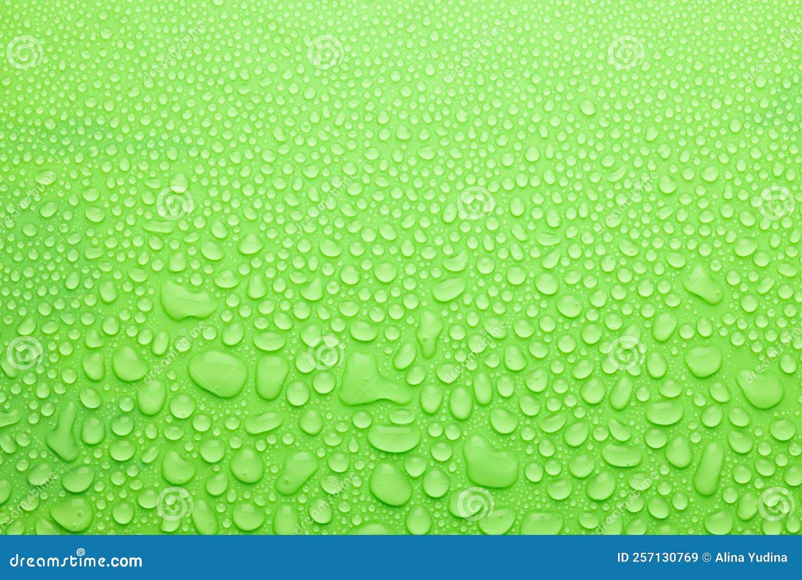 Fresh Bright Water Drops on Soft Light Green Background As Energy ...