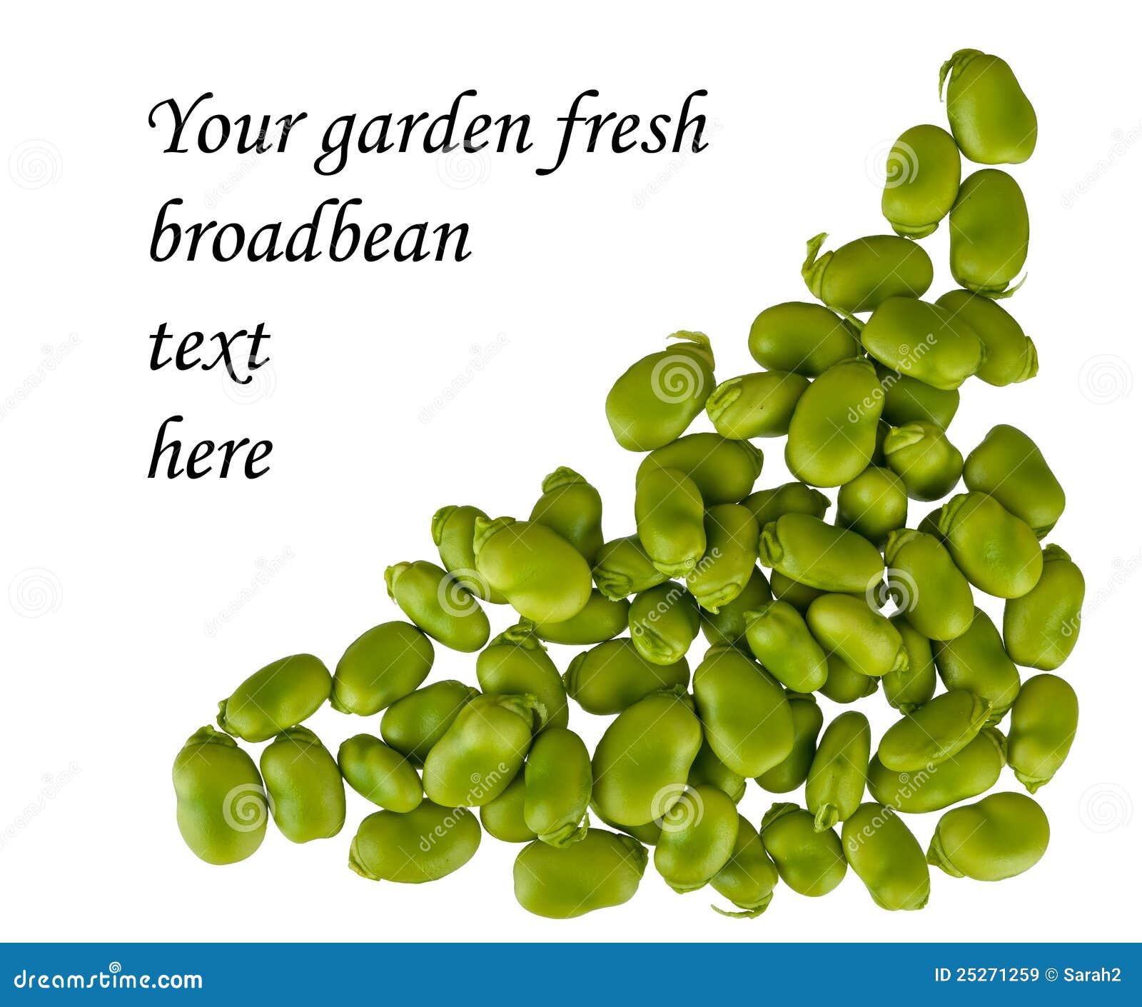 Fresh Broad Bean Border, Frame, Corner, Isolated Stock Image - Image of ...