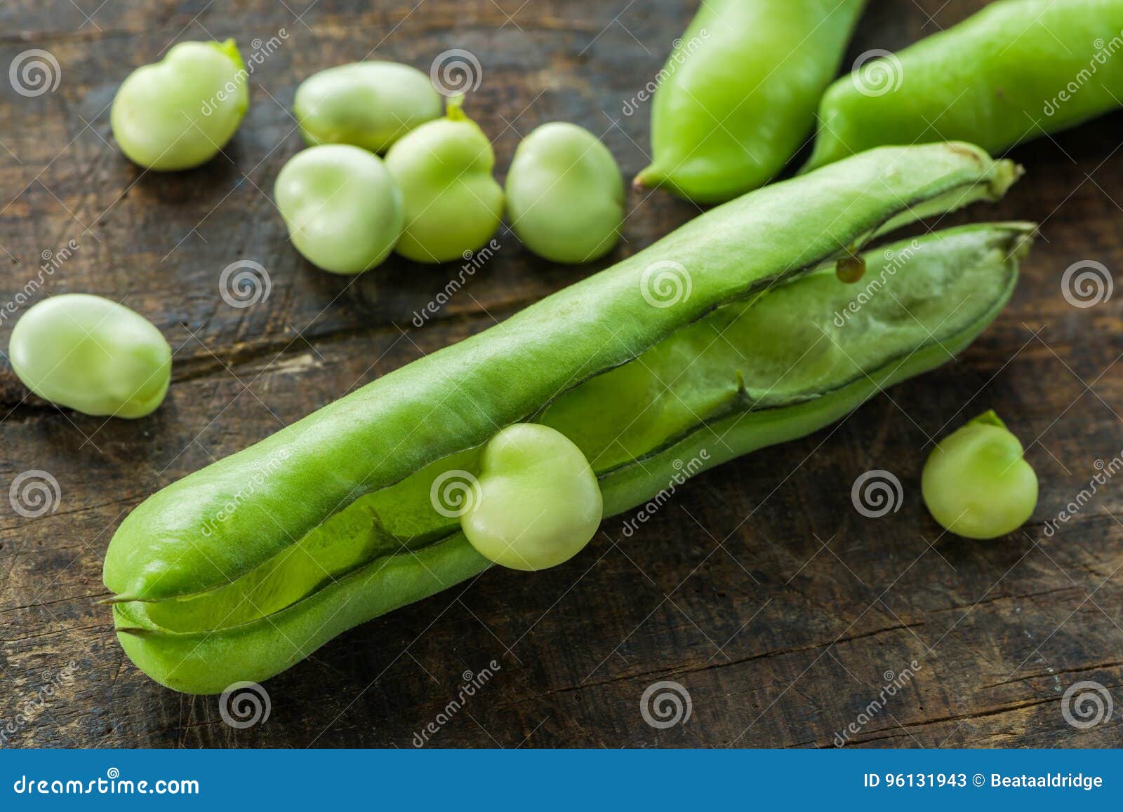 Fresh Broad Bean Pods - Closeup with Selective Focus Stock Image ...