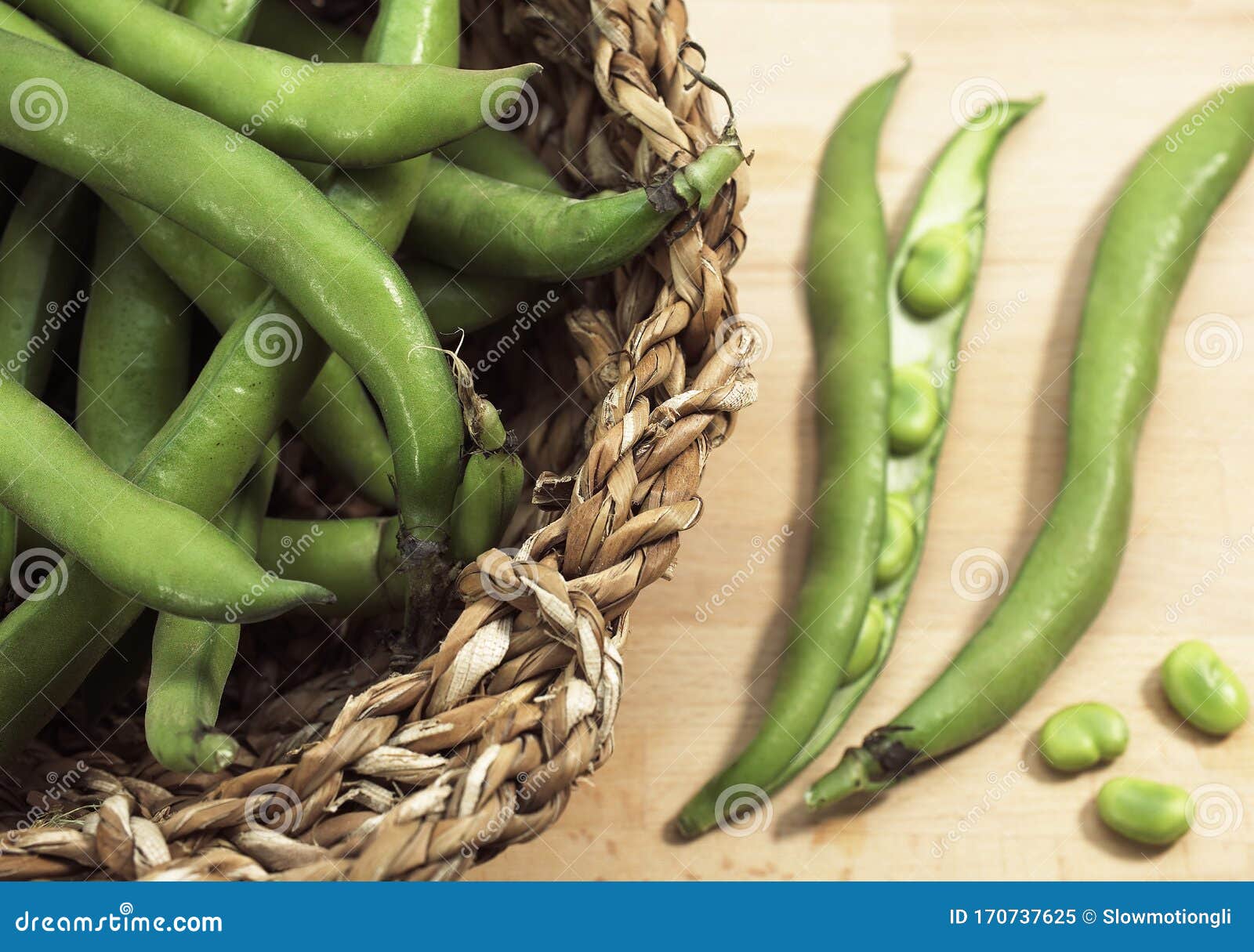 FEVE stock image. Image of botany, shot, still, vicia - 170737625
