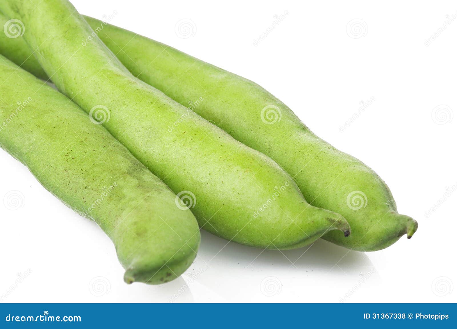 Fresh broad beans stock photo. Image of plant, food, homegrown - 31367338
