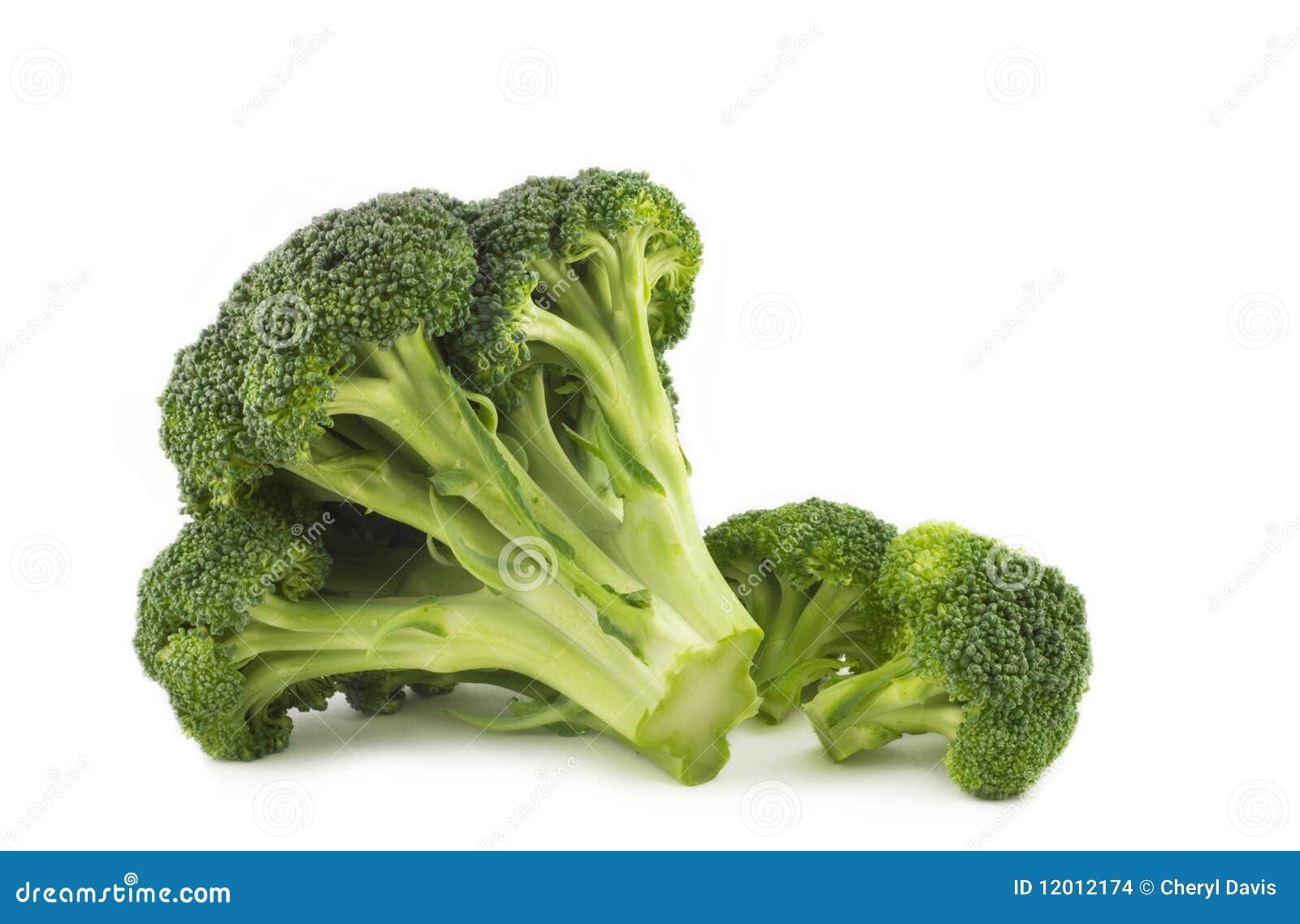 Fresh Broccoli stock photo. Image of diet, healthy, nature - 12012174