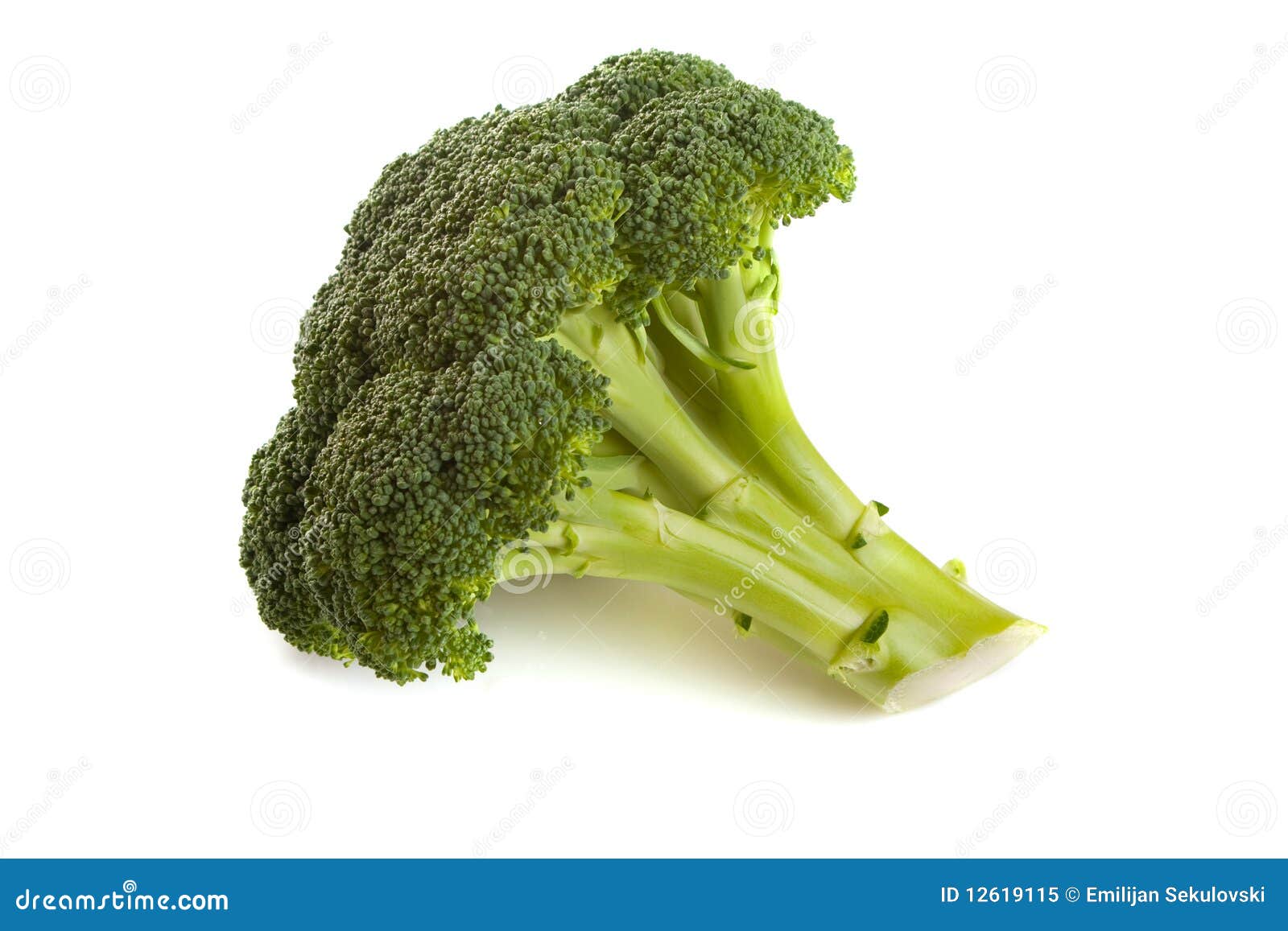 Fresh broccoli stock image. Image of good, dieting, calories - 12619115
