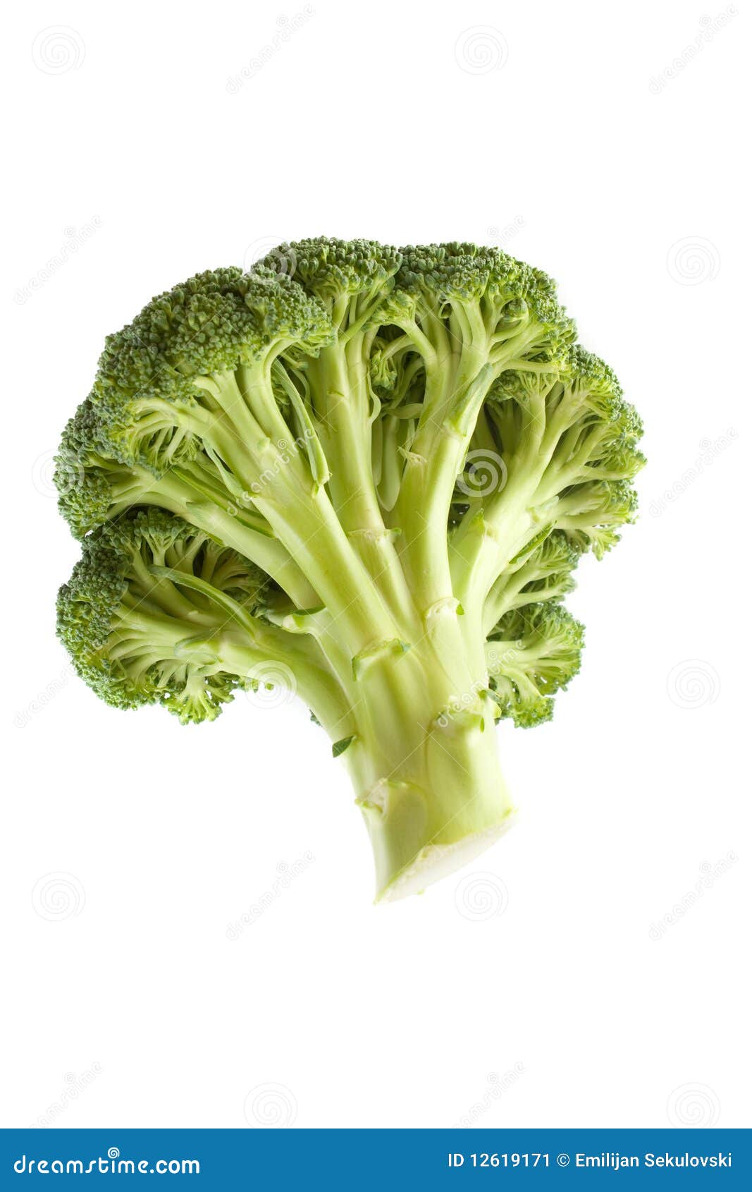 Fresh broccoli stock image. Image of lunch, culinary - 12619171