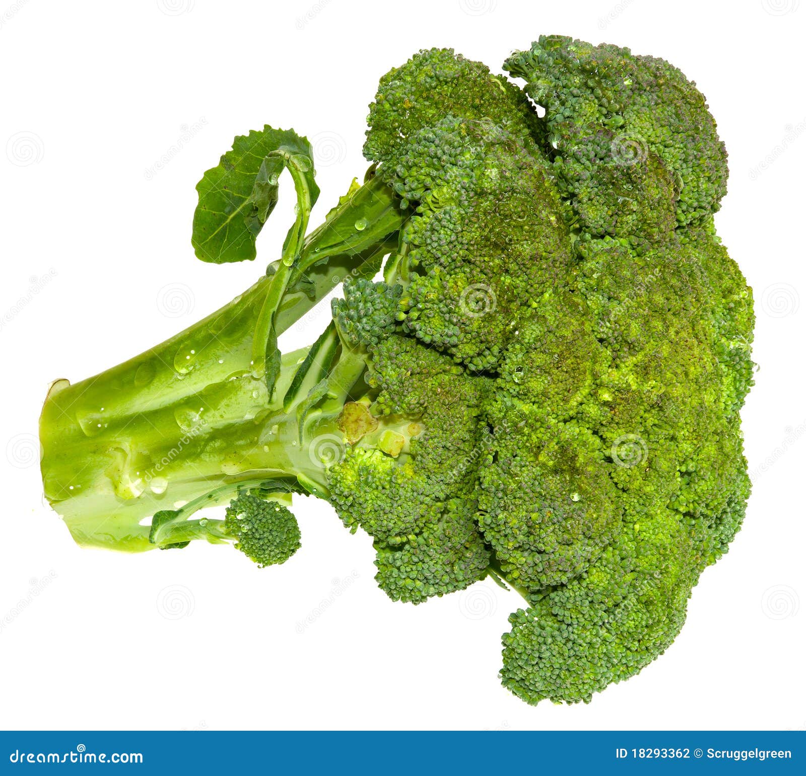 Fresh Broccoli stock photo. Image of delicious, isolated - 18293362