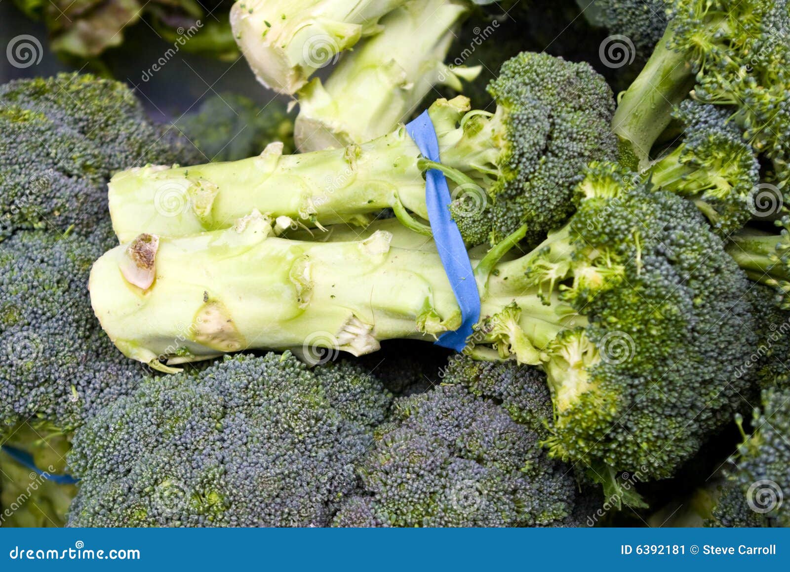 Fresh broccoli stock image. Image of home, vegetable, vegetables - 6392181