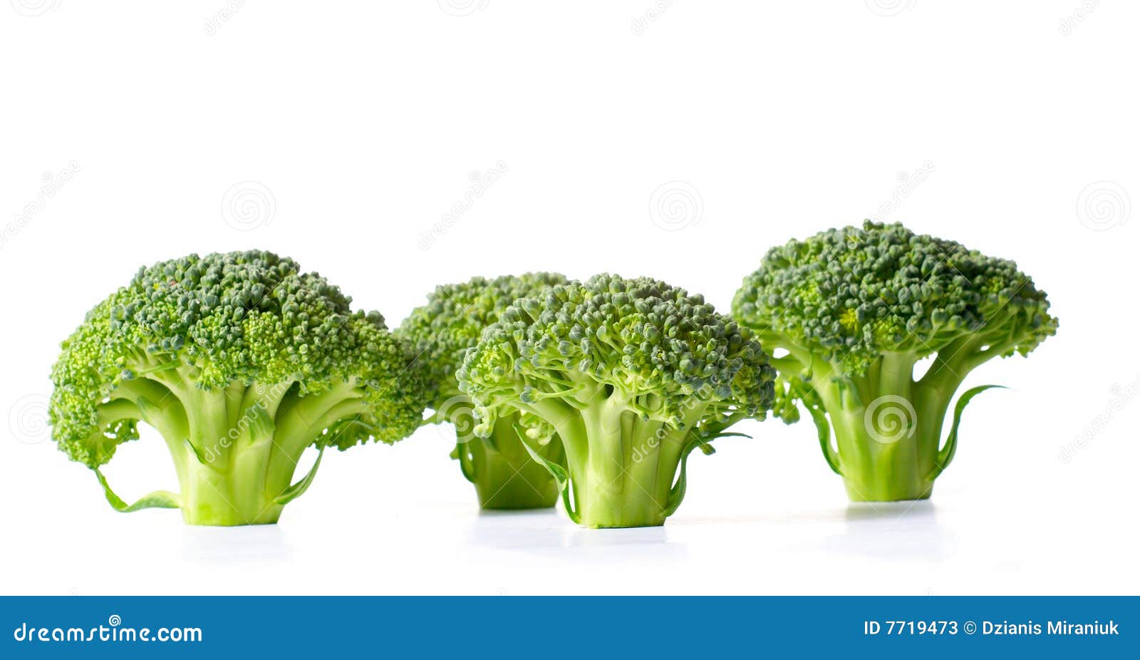 Fresh broccoli stock image. Image of group, lifestyle - 7719473