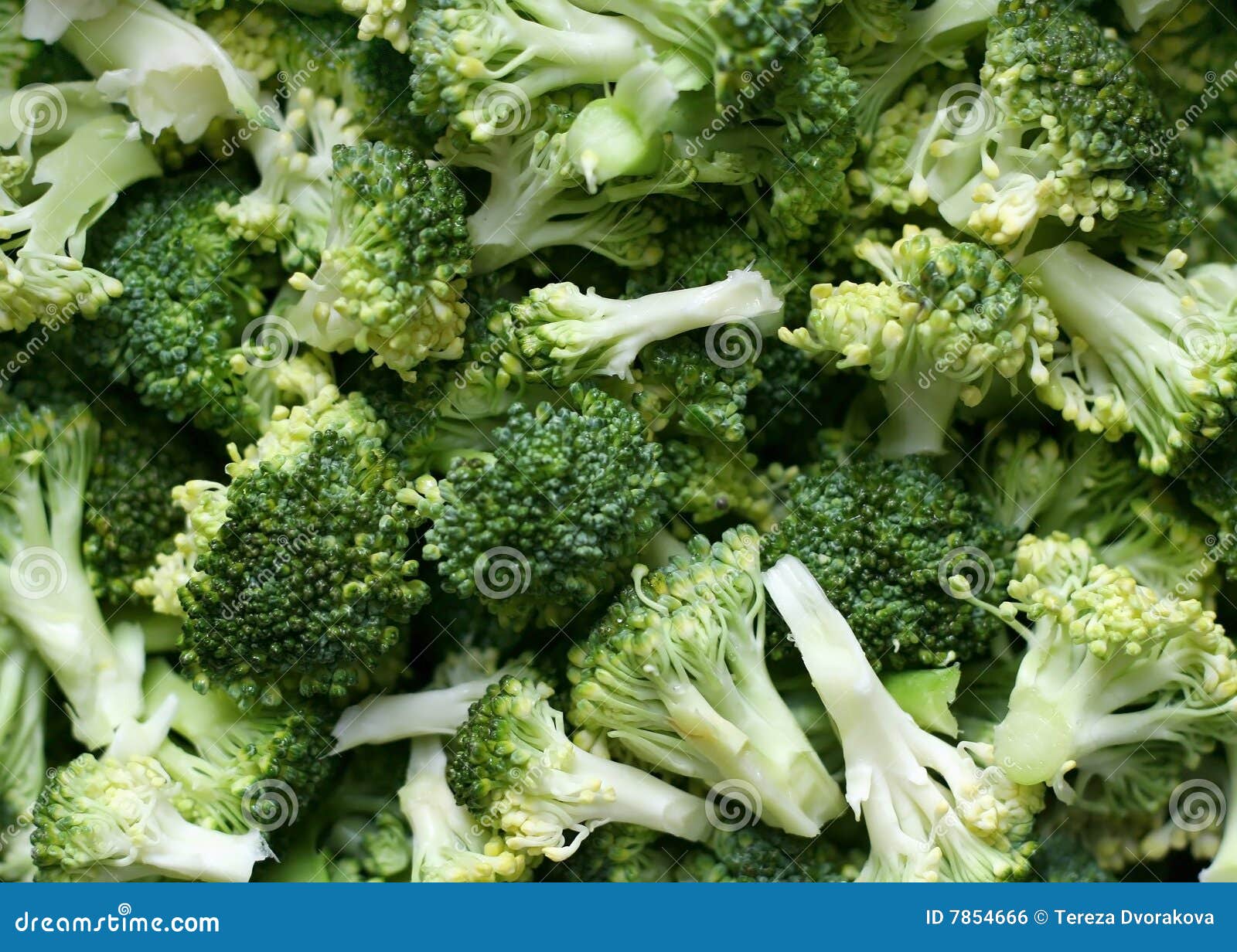 Fresh broccoli stock photo. Image of food, natural, organic - 7854666