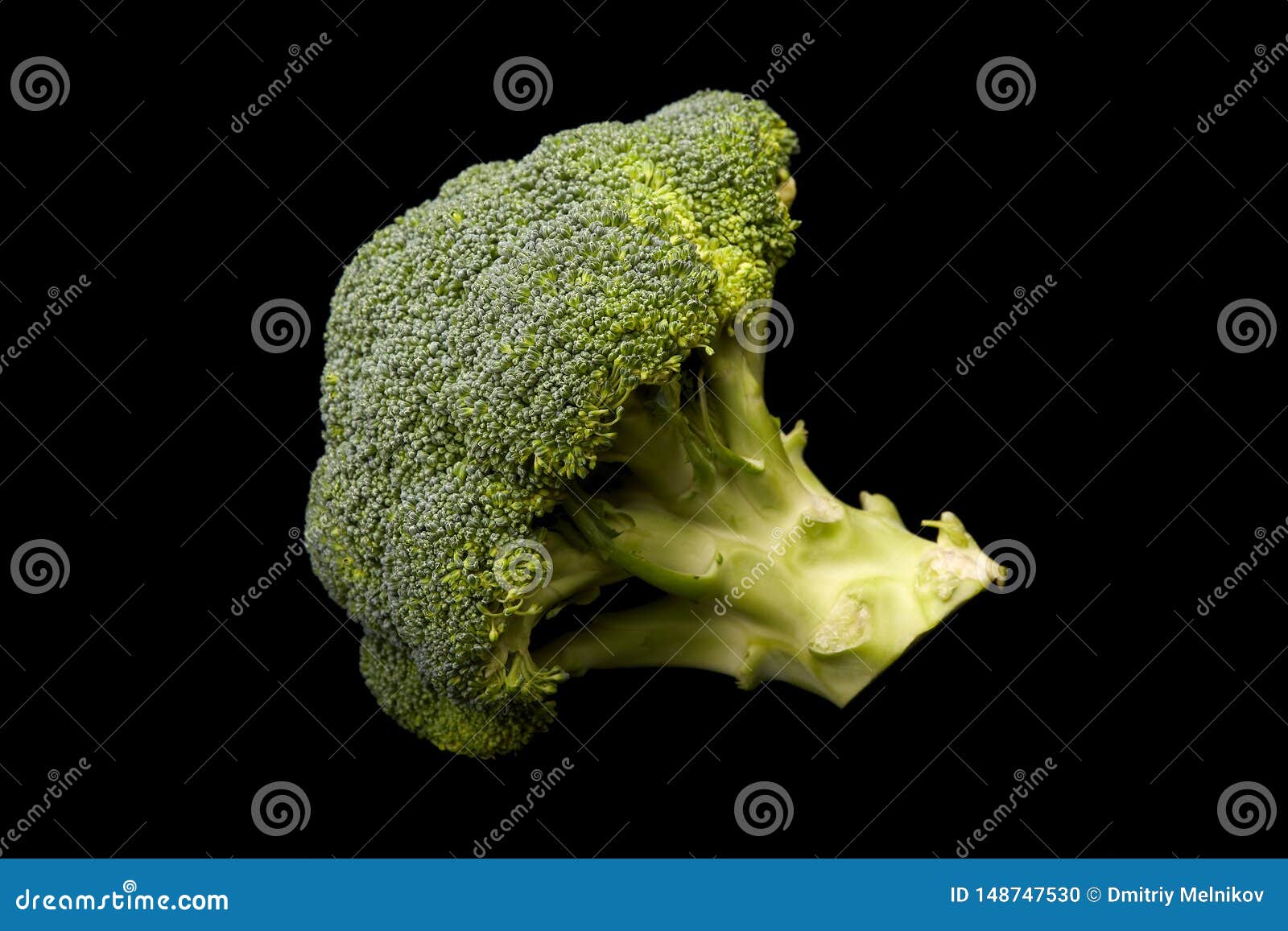 Fresh broccoli stock photo. Image of diet, organic, brassica - 148747530