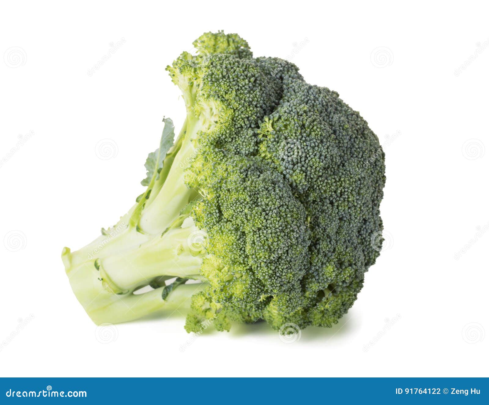 Fresh broccoli crowns stock photo. Image of close, horizontal - 91764122