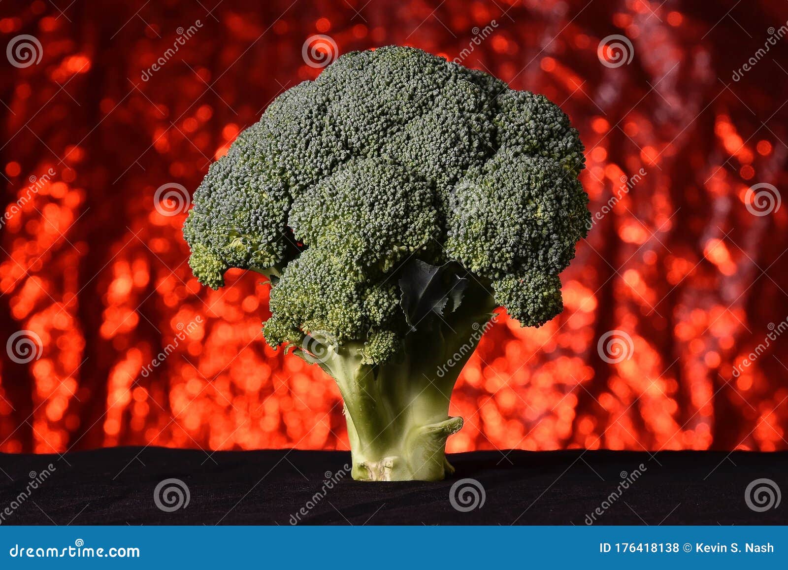 Fresh broccoli stock photo. Image of standing, natural - 176418138