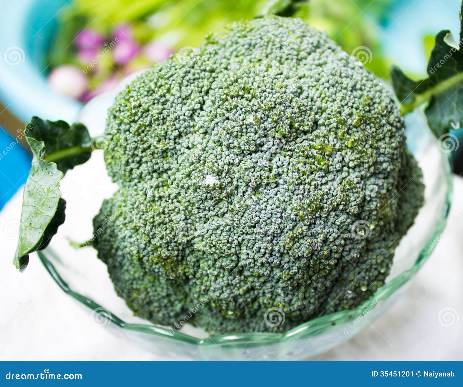 Fresh broccoli stock image. Image of plant, tasty, fresh - 35451201