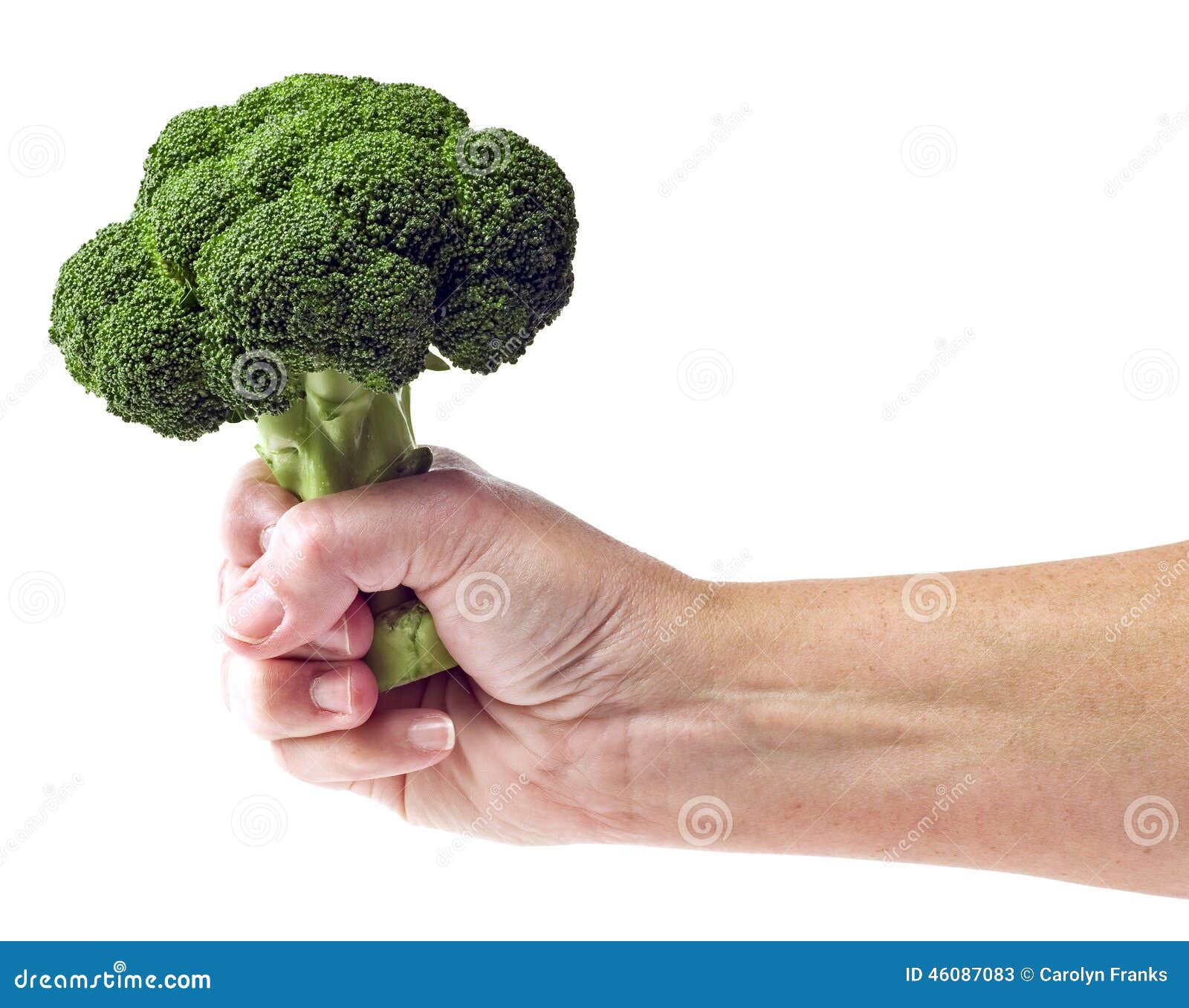 Fresh Broccoli in Hand stock image. Image of ingredient - 46087083