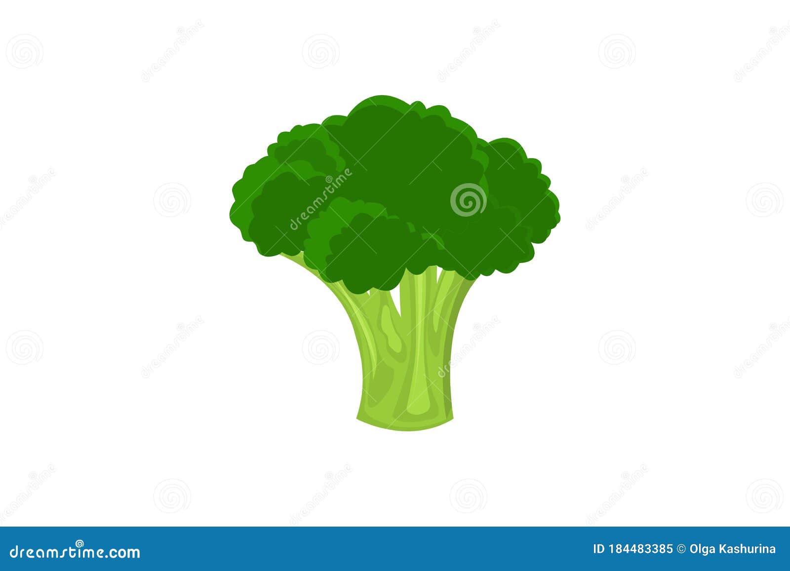 Fresh Broccoli Icon on White. Stock Vector - Illustration of brocolli ...
