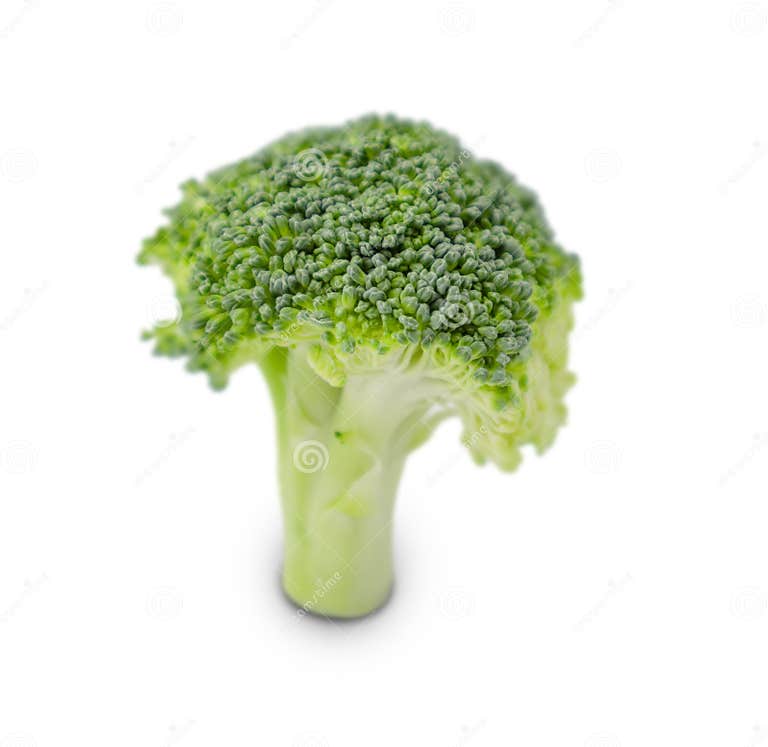 Fresh Broccoli Isolated on White Background for Cooking Stock Photo ...