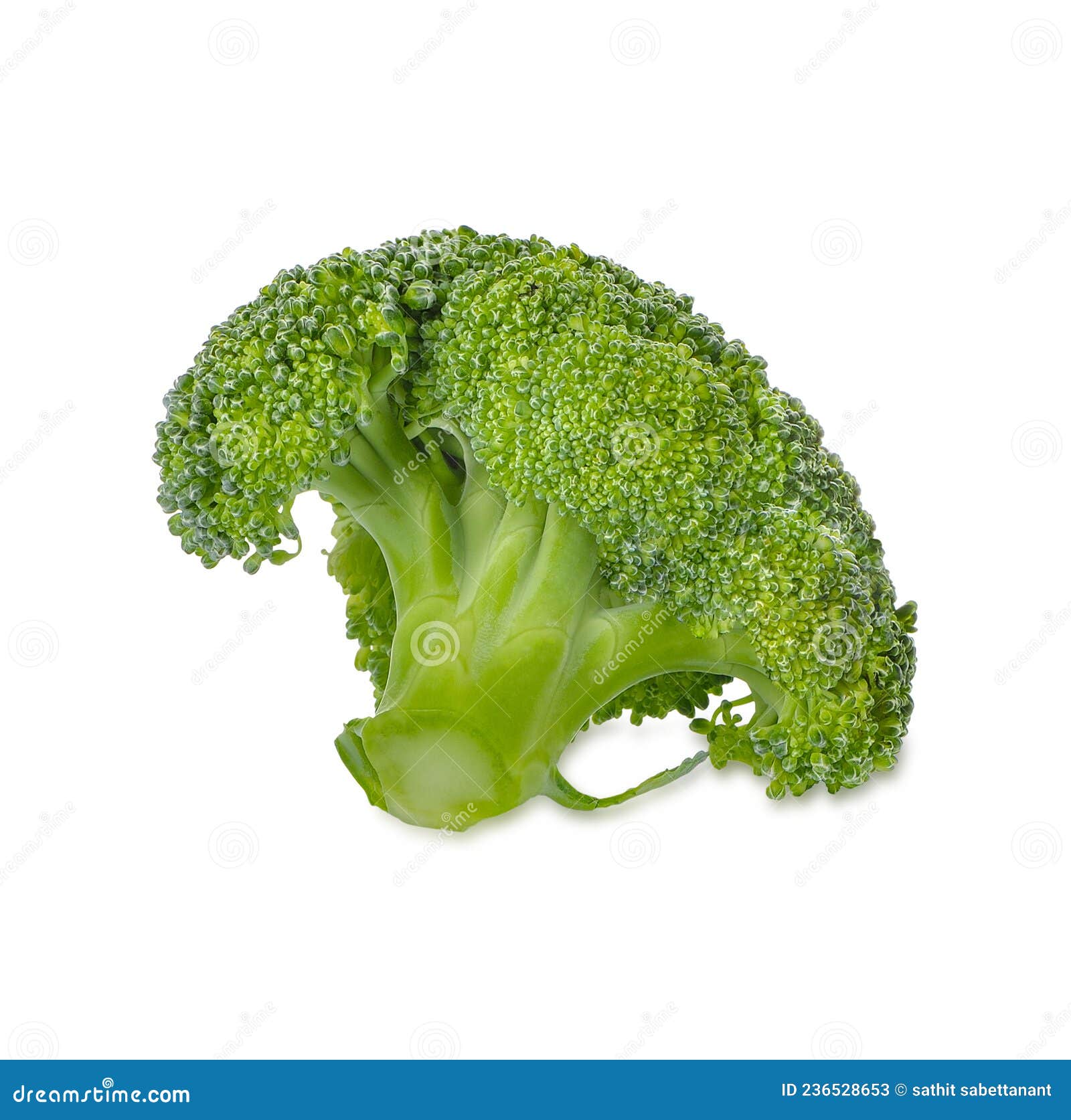 Fresh Broccoli Isolated on White Background Stock Image - Image of ...