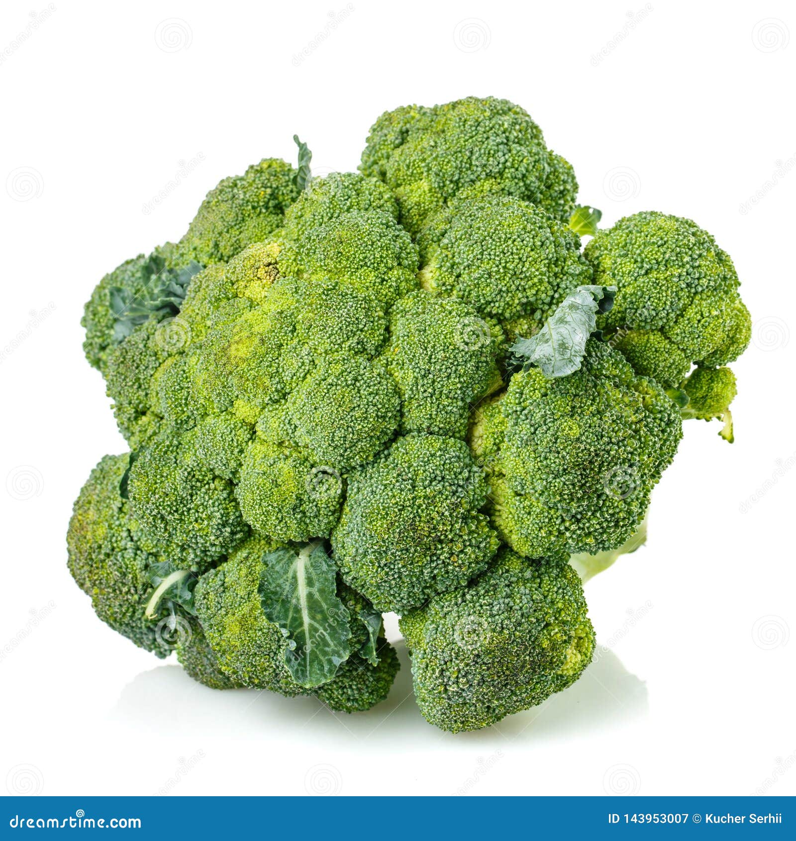 Fresh Broccoli. Isolated on a White Background Stock Image - Image of ...