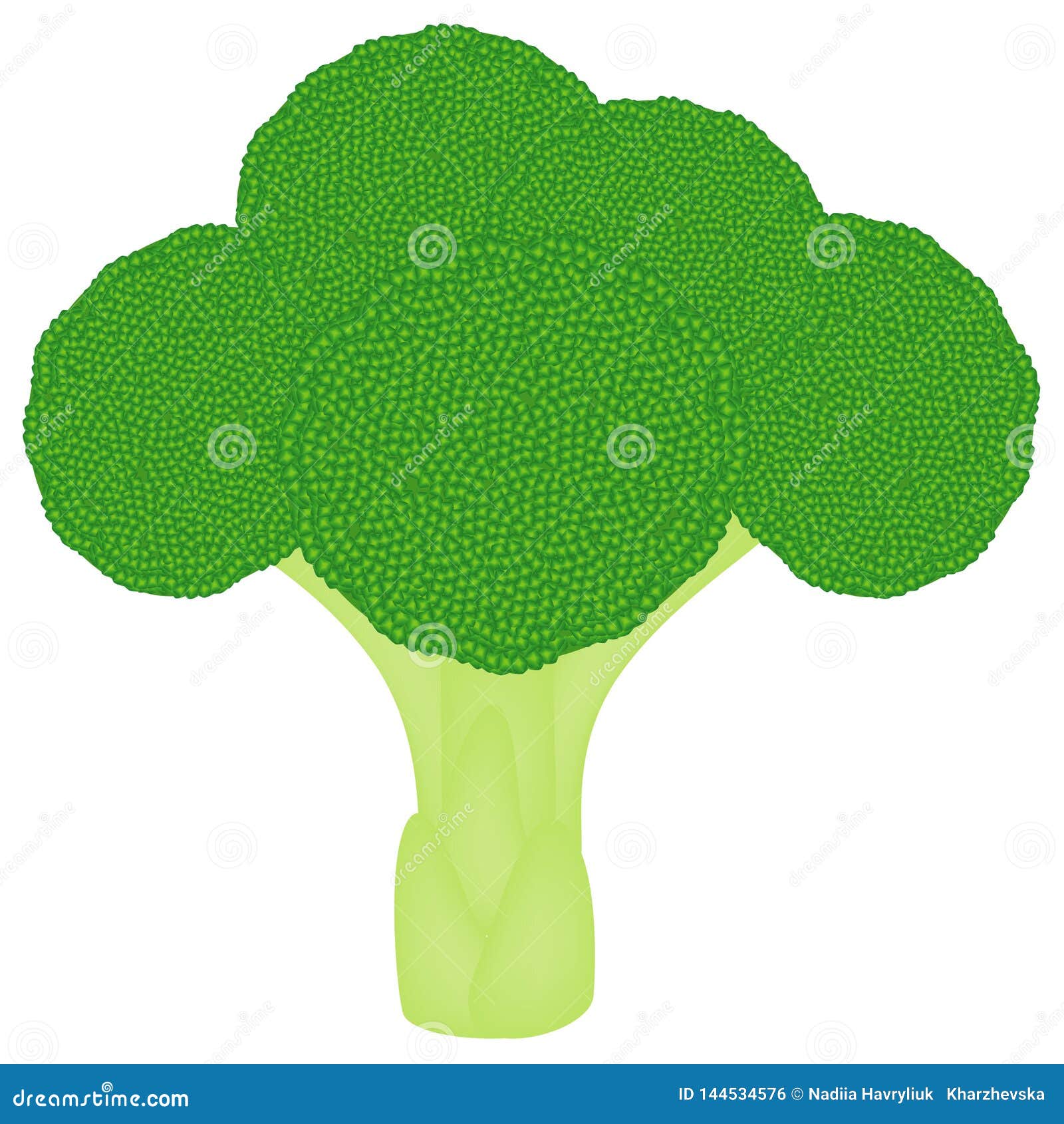 Fresh Broccoli Isolated on a White Background Side View. Stock Vector ...
