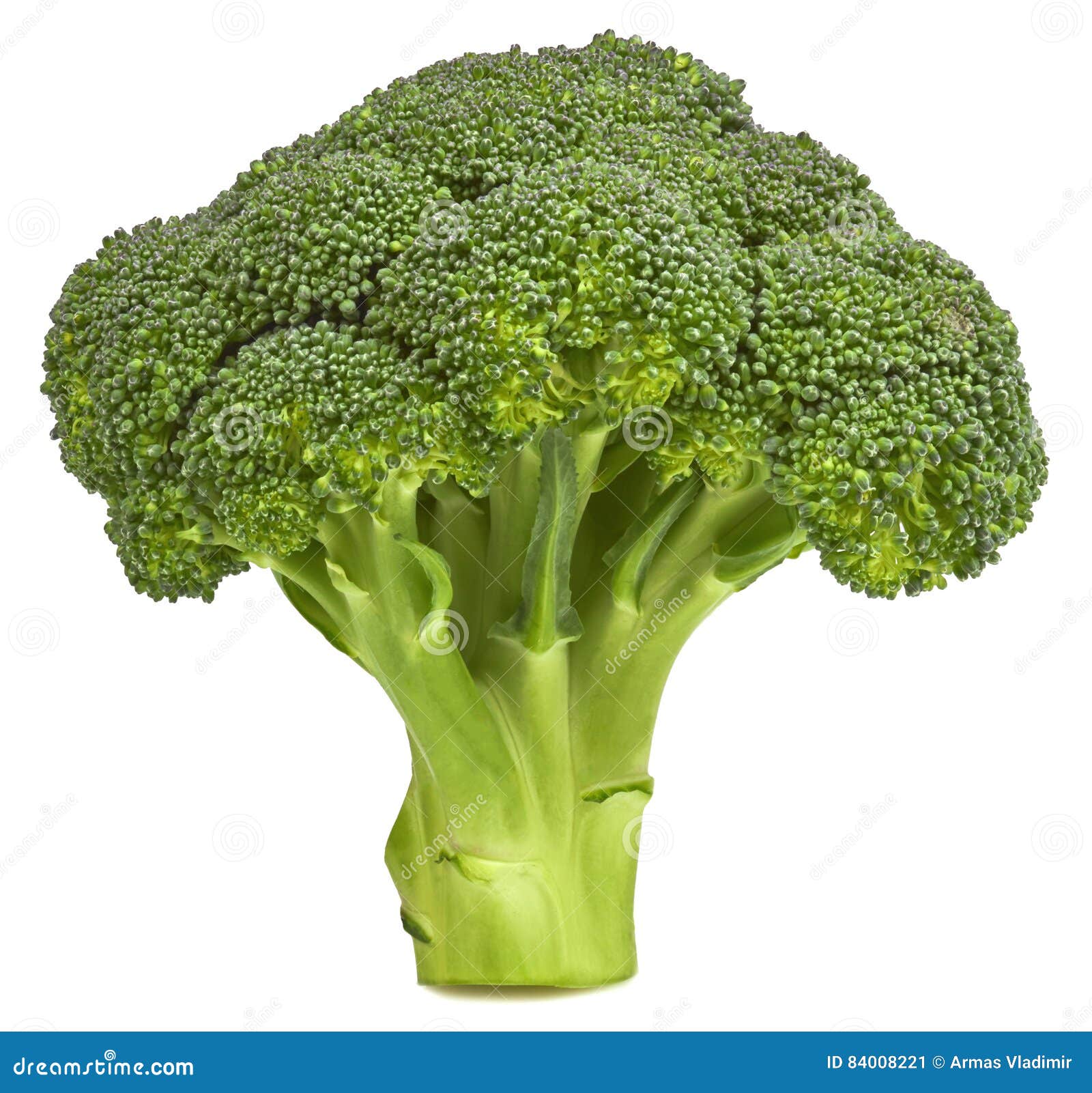 Fresh broccoli isolated stock image. Image of clipping - 84008221