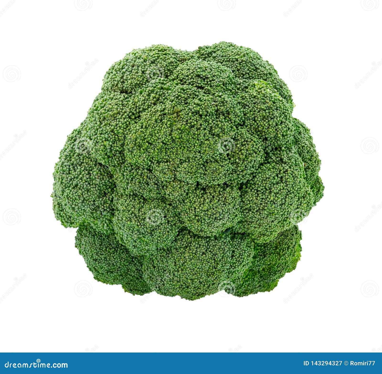 Fresh Broccoli Isolated on White. Broccoli Top View Stock Image - Image ...