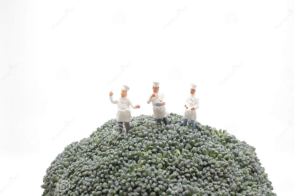 The Fresh Broccoli and Mini Chefs Figure Stock Image - Image of person ...