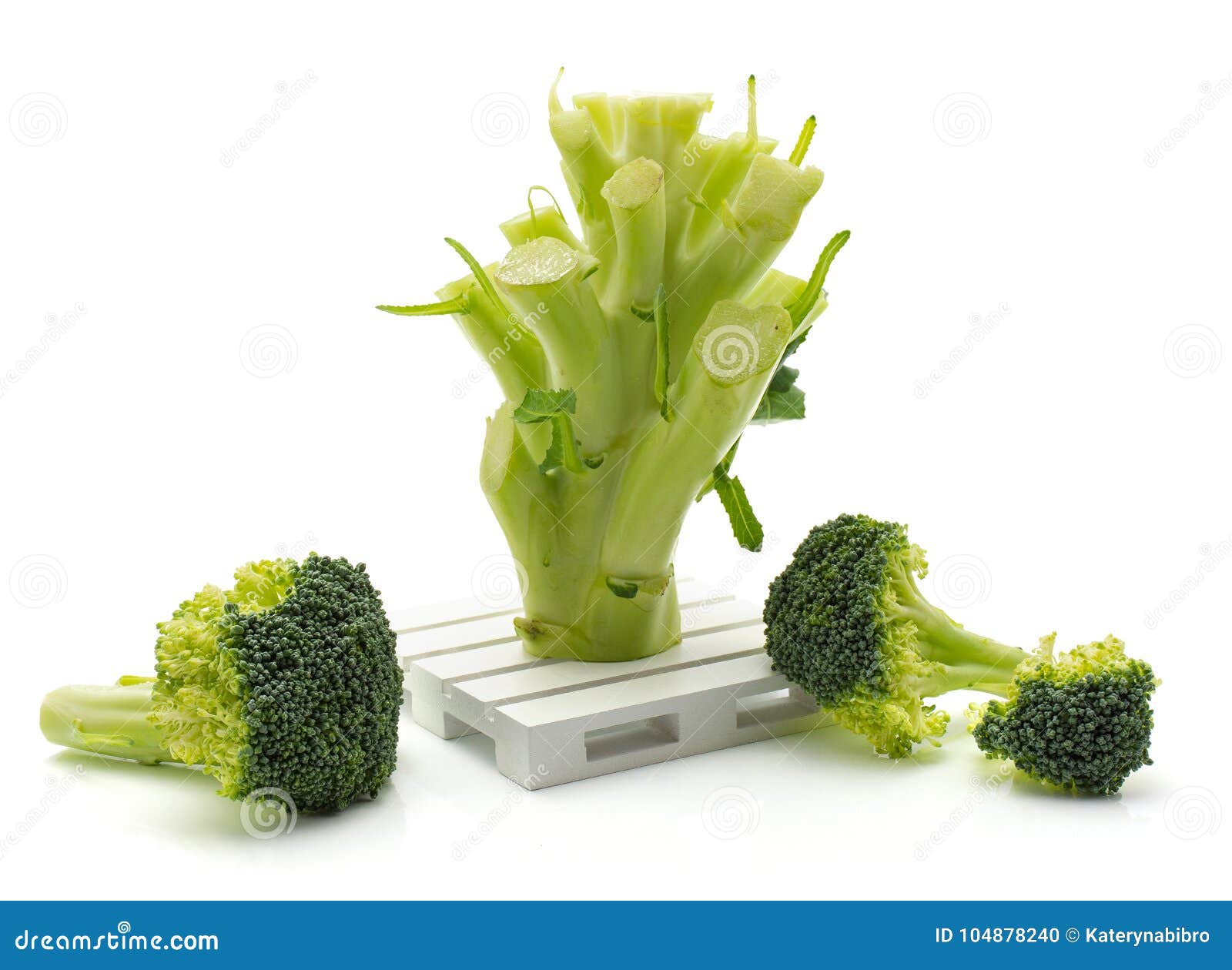 Broccoli on white stock photo. Image of head, background - 104878240