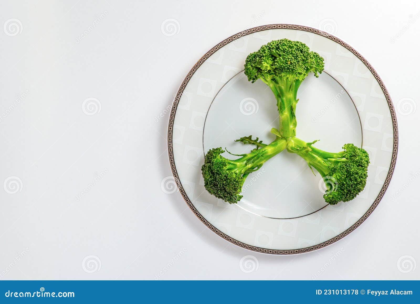 Fresh Broccoli Parts on the White with Background Stock Photo - Image ...
