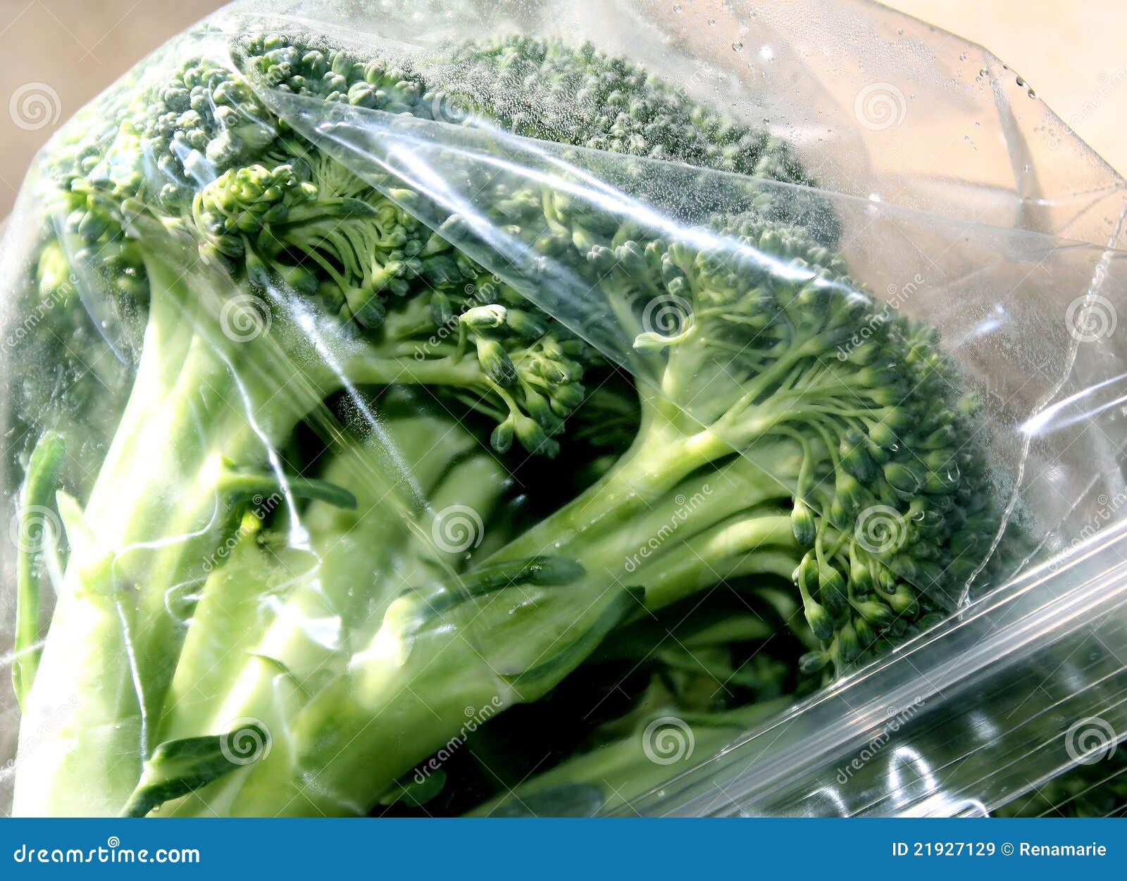 Fresh Broccoli in Sealed Plastic Storage Bag Stock Image - Image of ...