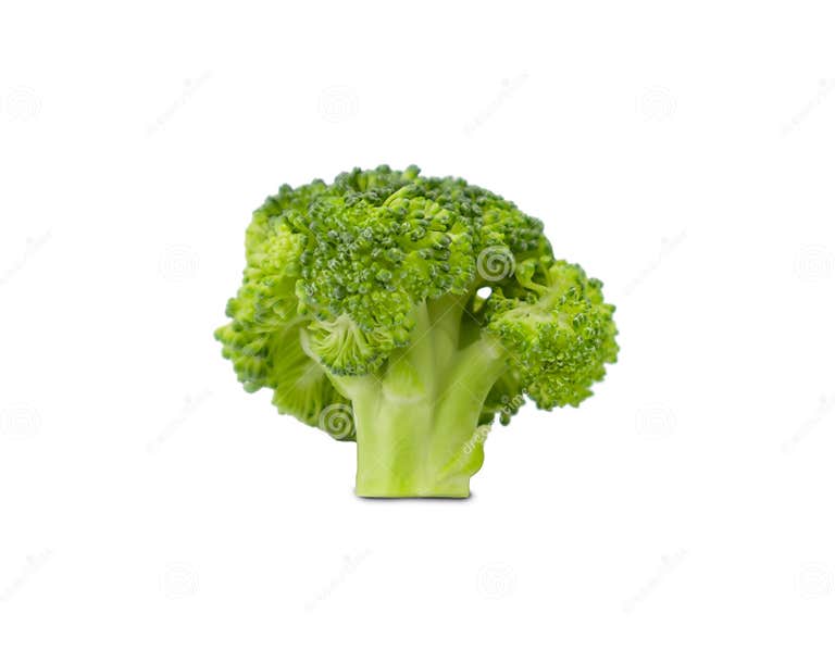 Fresh Broccoli Standing Isolated on a White Background Stock Photo ...