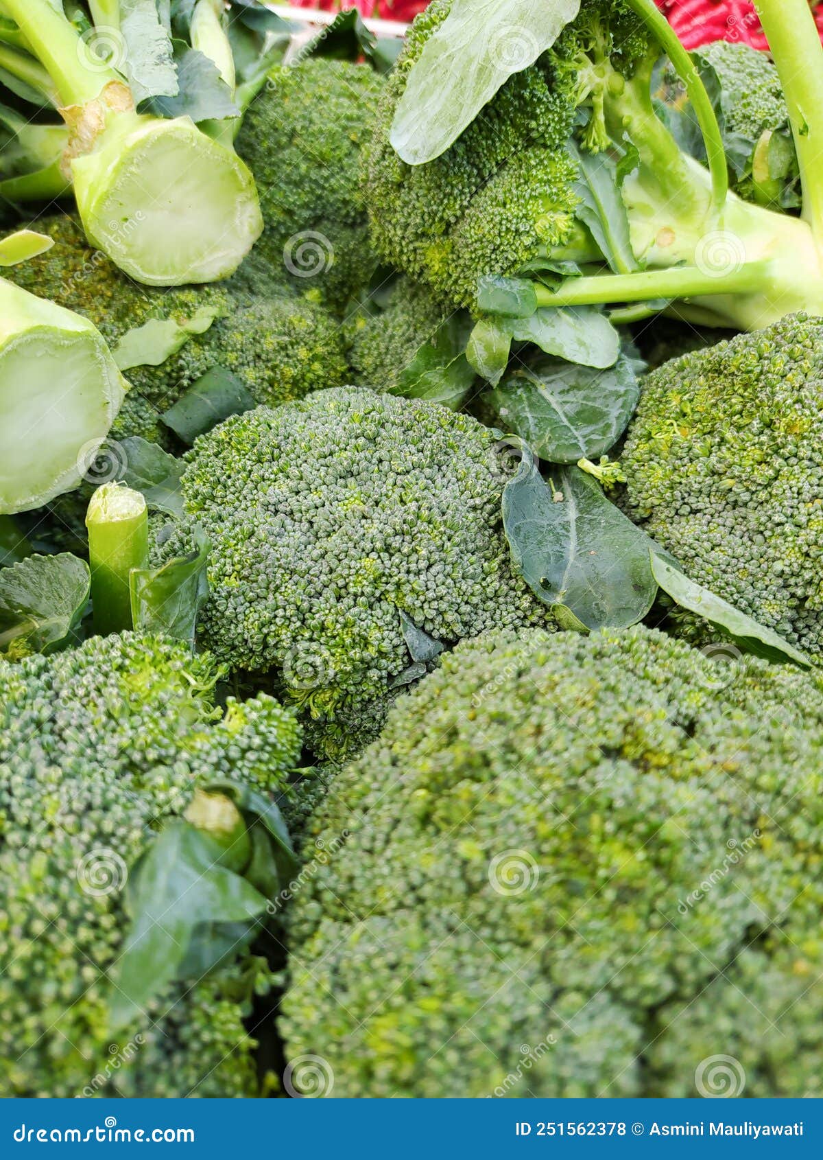 Fresh Broccoli from the Traditional Market Stock Photo - Image of crop ...