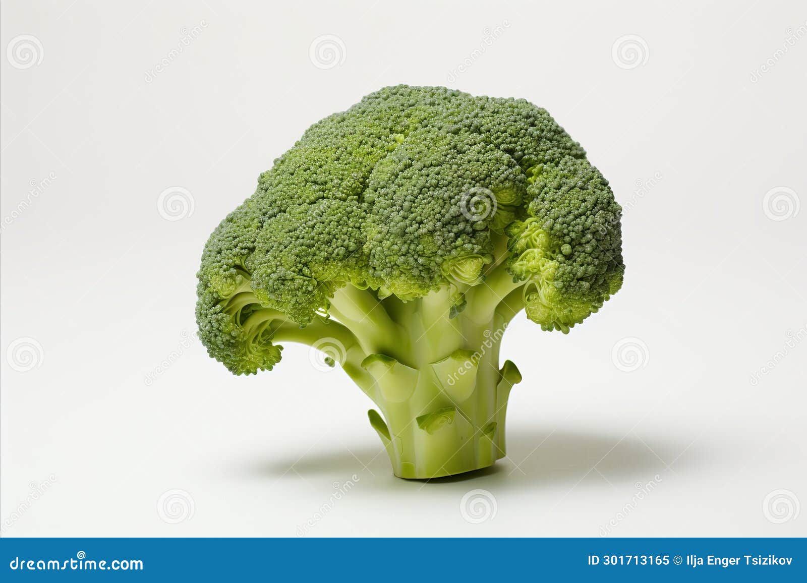 Fresh Broccoli on White Background for Eye Catching Advertisements and ...