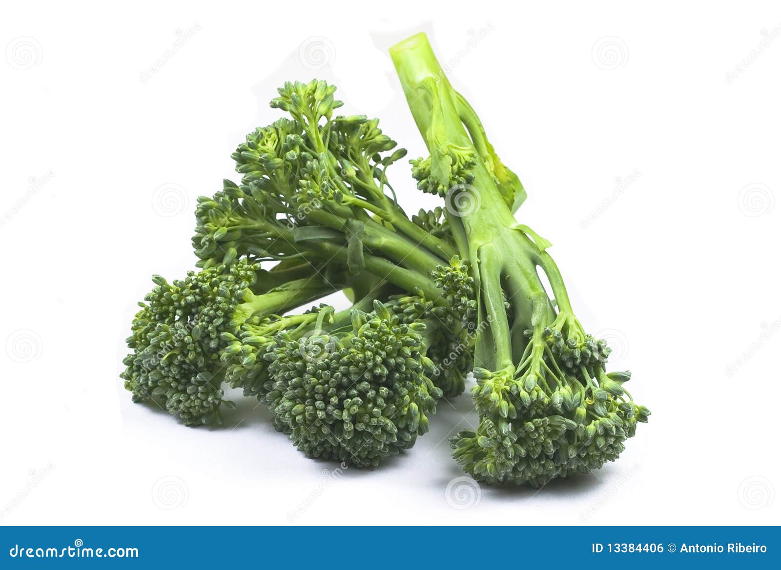 Fresh broccolini stock photo. Image of broccolini, cook - 13384406