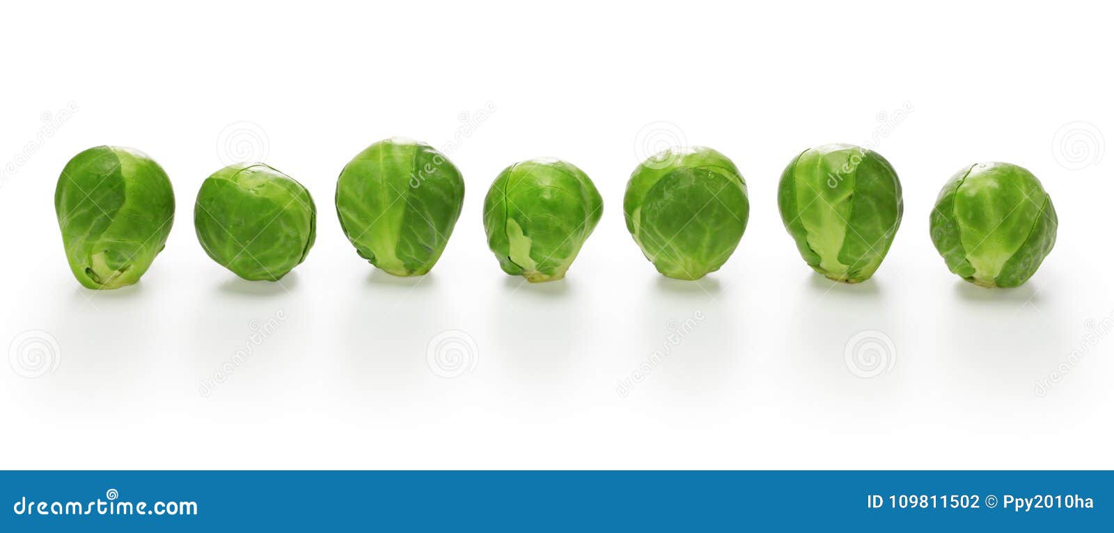 Fresh Brussels Sprouts Banner Stock Photo - Image of close, diet: 109811502